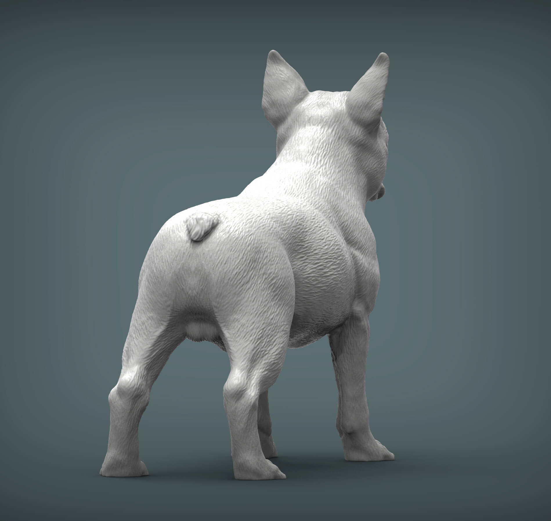 Boston Terrier 3D Print Model by Alexander3dart