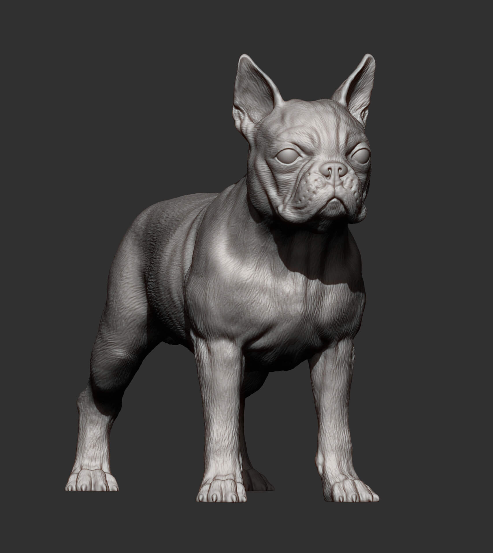 Boston Terrier 3D Print Model by Alexander3dart