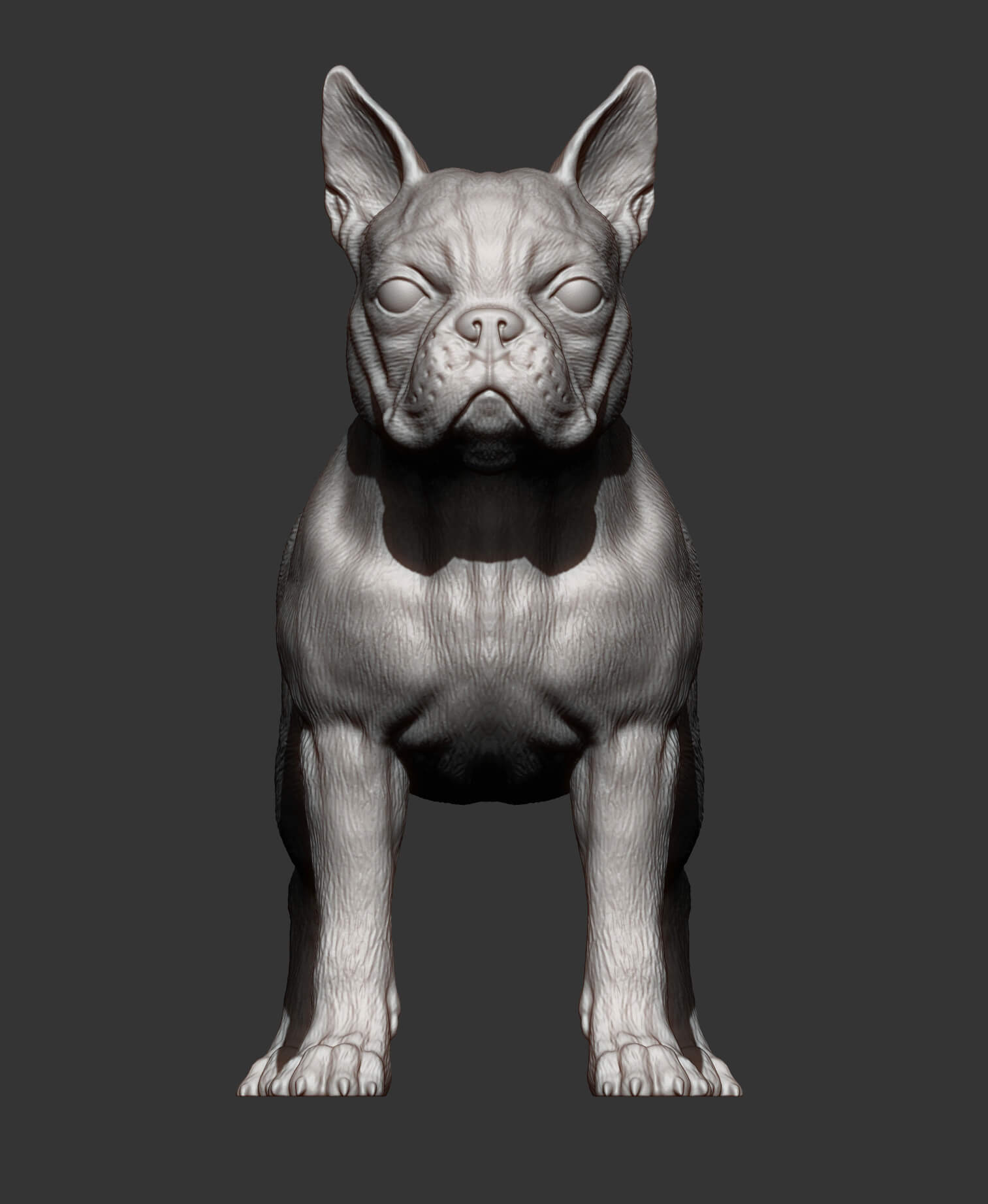 Boston Terrier 3D Print Model by Alexander3dart