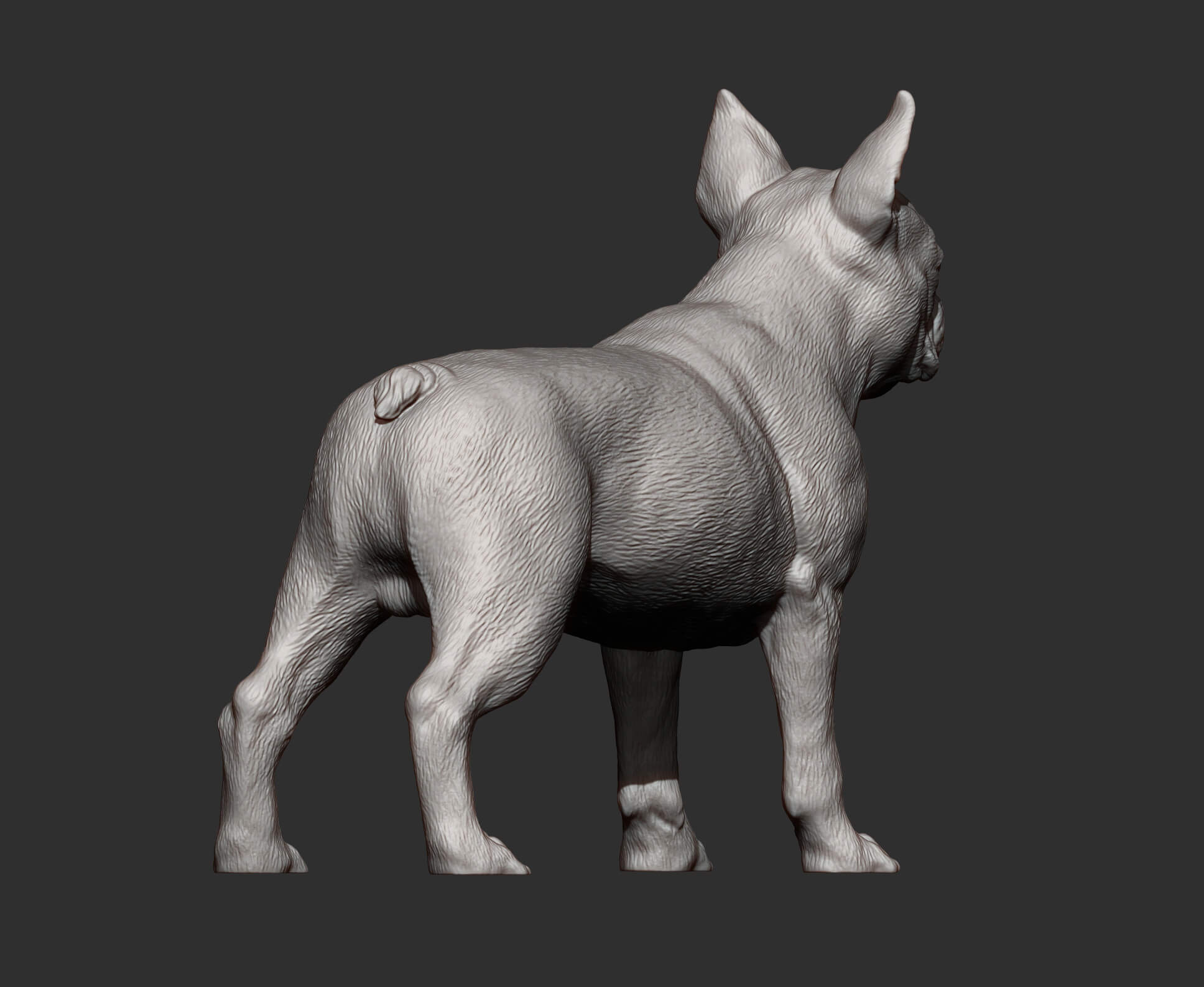 Boston Terrier 3D Print Model by Alexander3dart