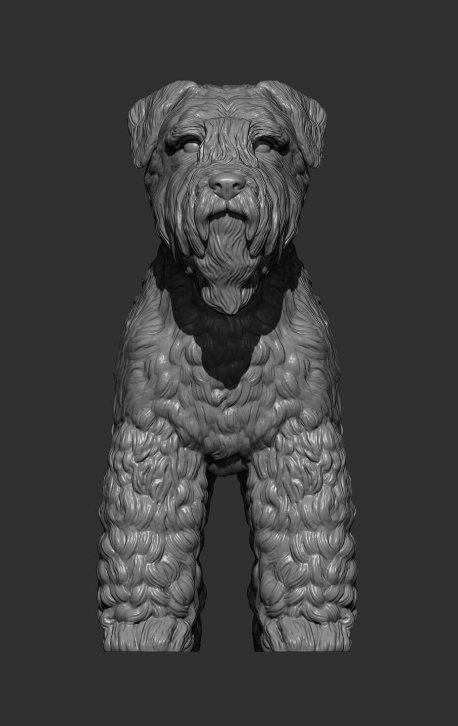 Bouvier 3D Print Model by Alexander3dart