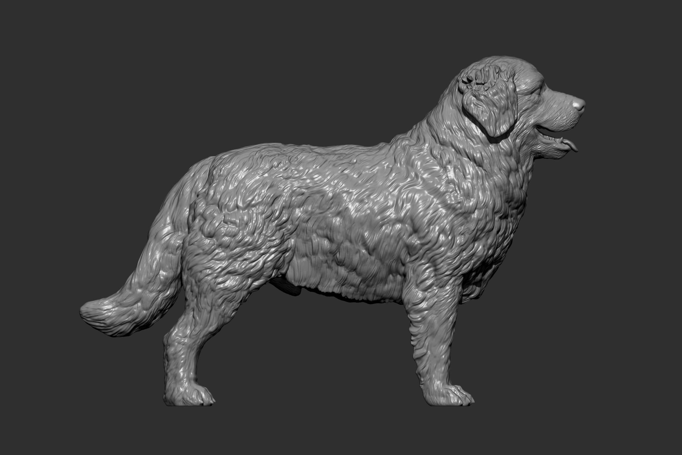 Bovaro Del Bernese 3D Print Model by Alexander3dart
