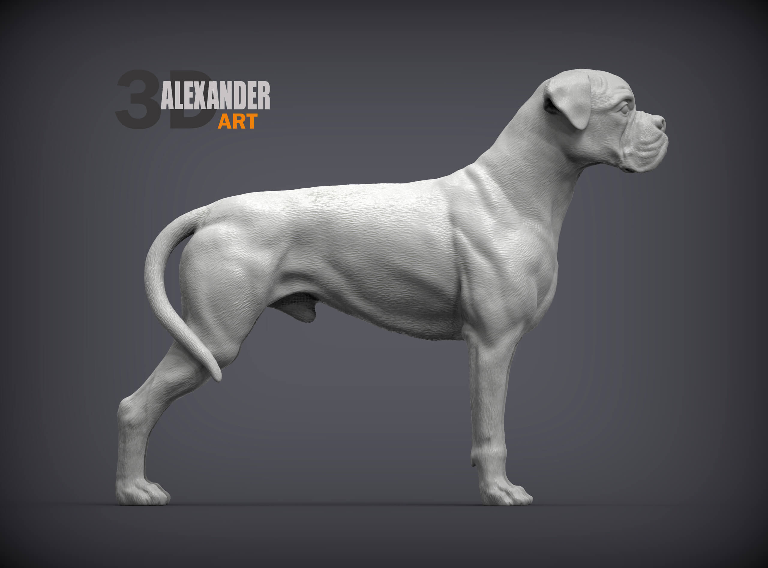 Boxer Dog 3D Print Model by Alexander3dart