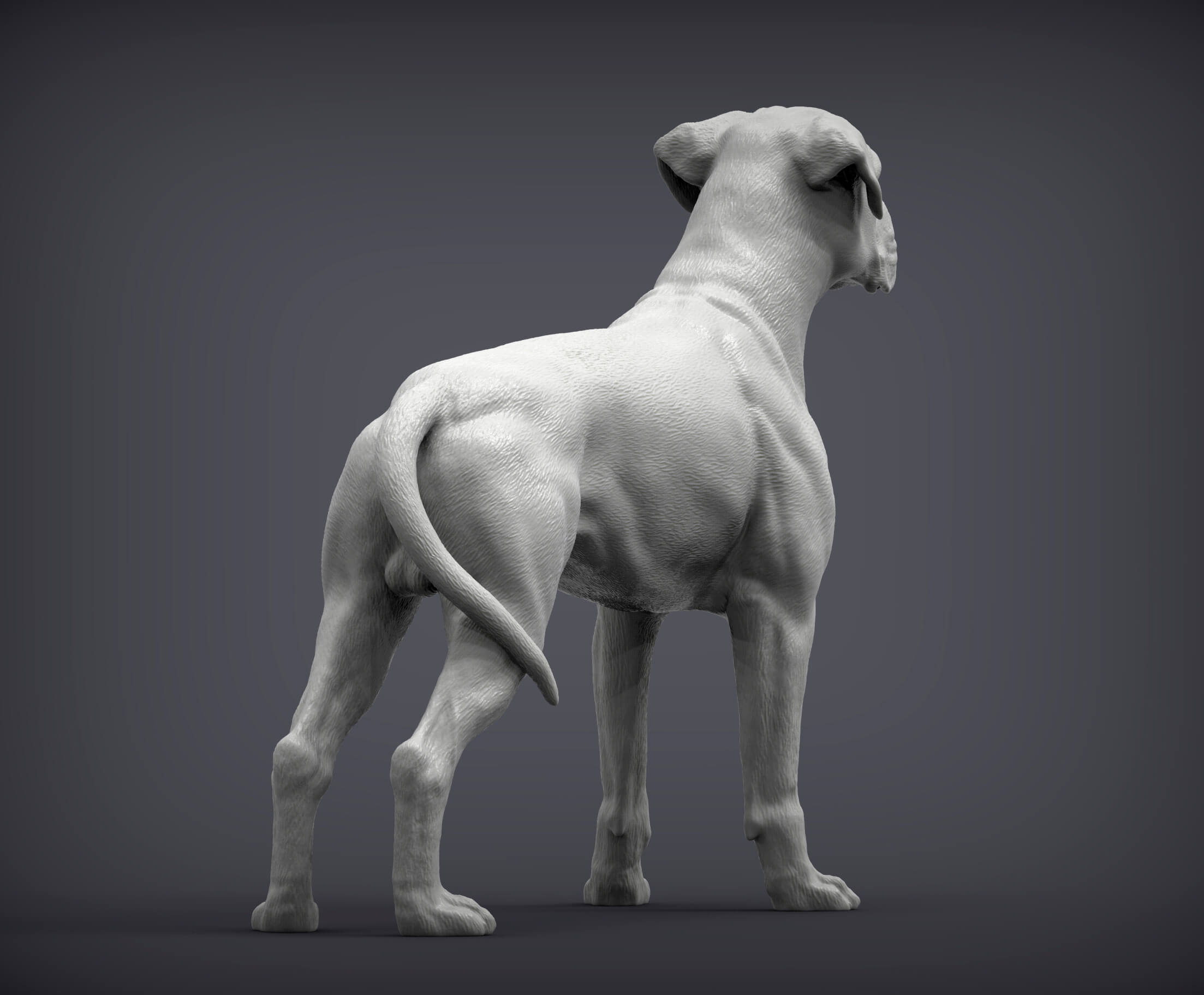 Boxer Dog 3D Print Model by Alexander3dart