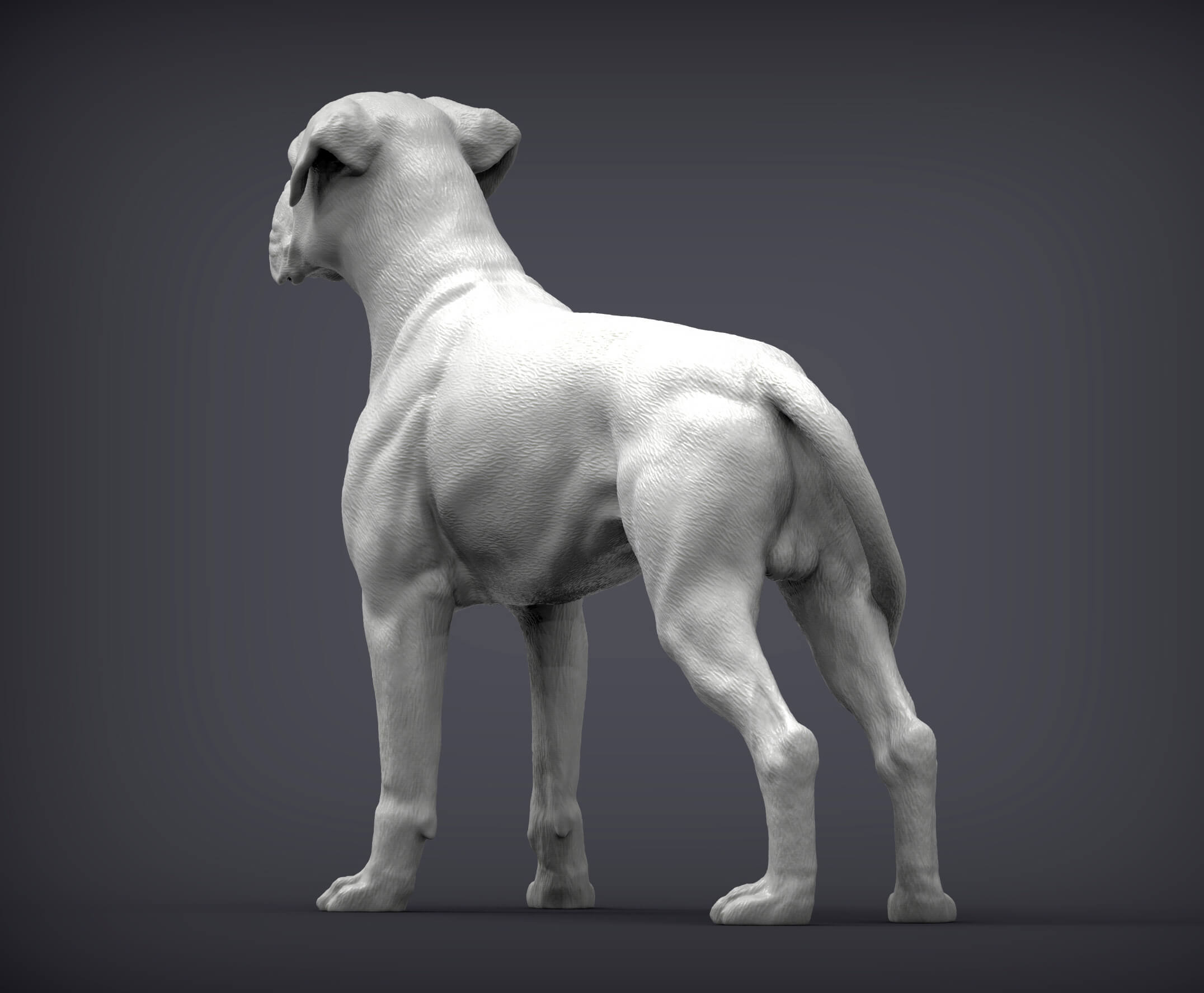Boxer Dog 3D Print Model by Alexander3dart