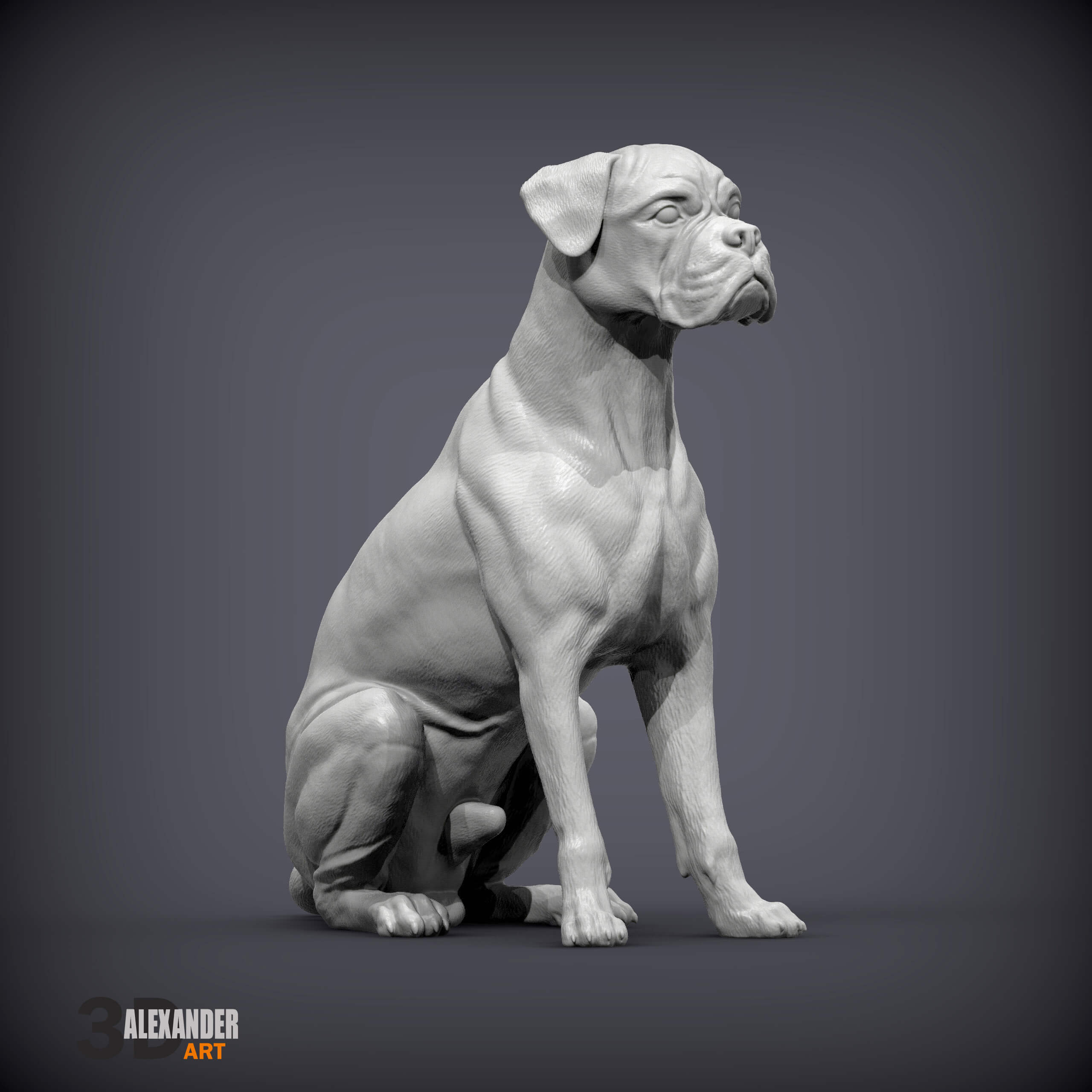 Boxer Dog Sitting - 3D Model by Alexander3dart