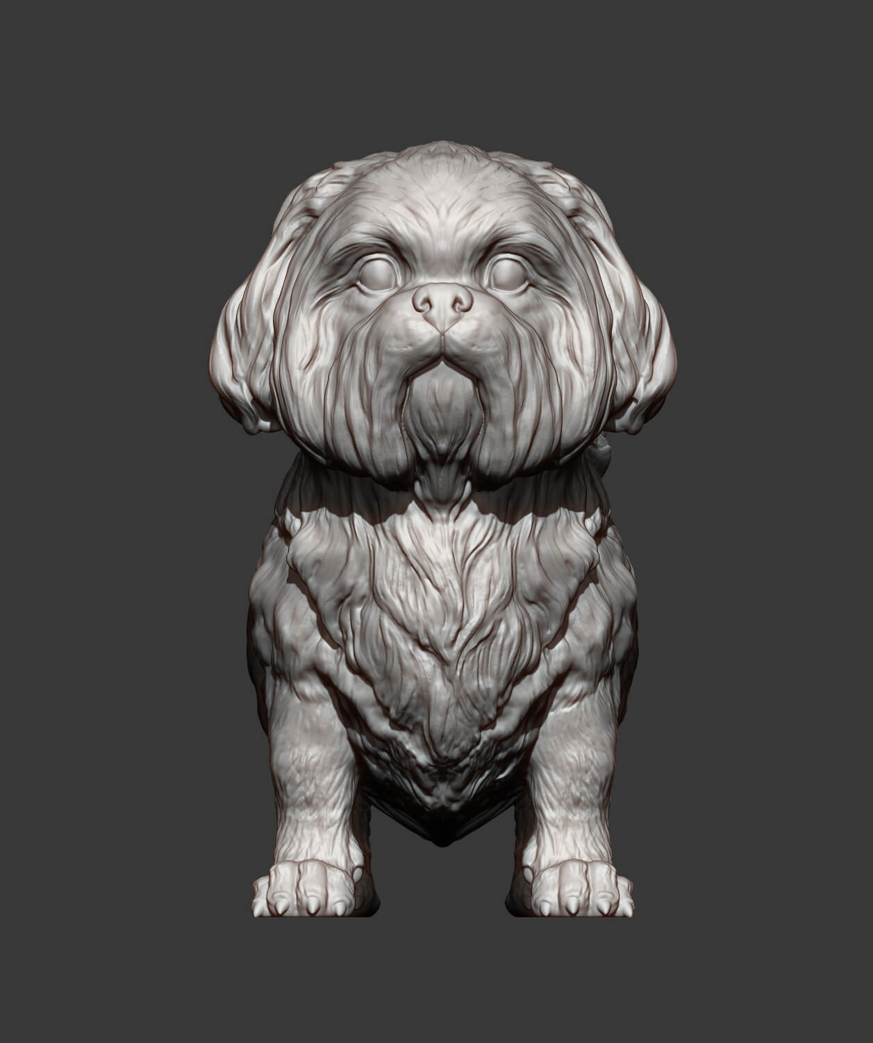 British Shih Tzu 3D Print Model by Alexander3dart