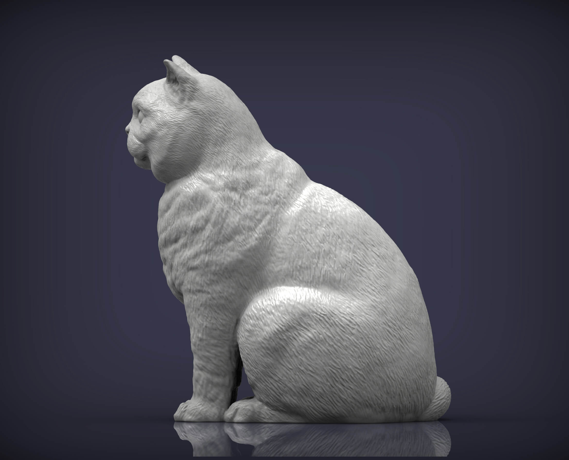 British Shorthair Cat 3D Print Model by Alexander3dart