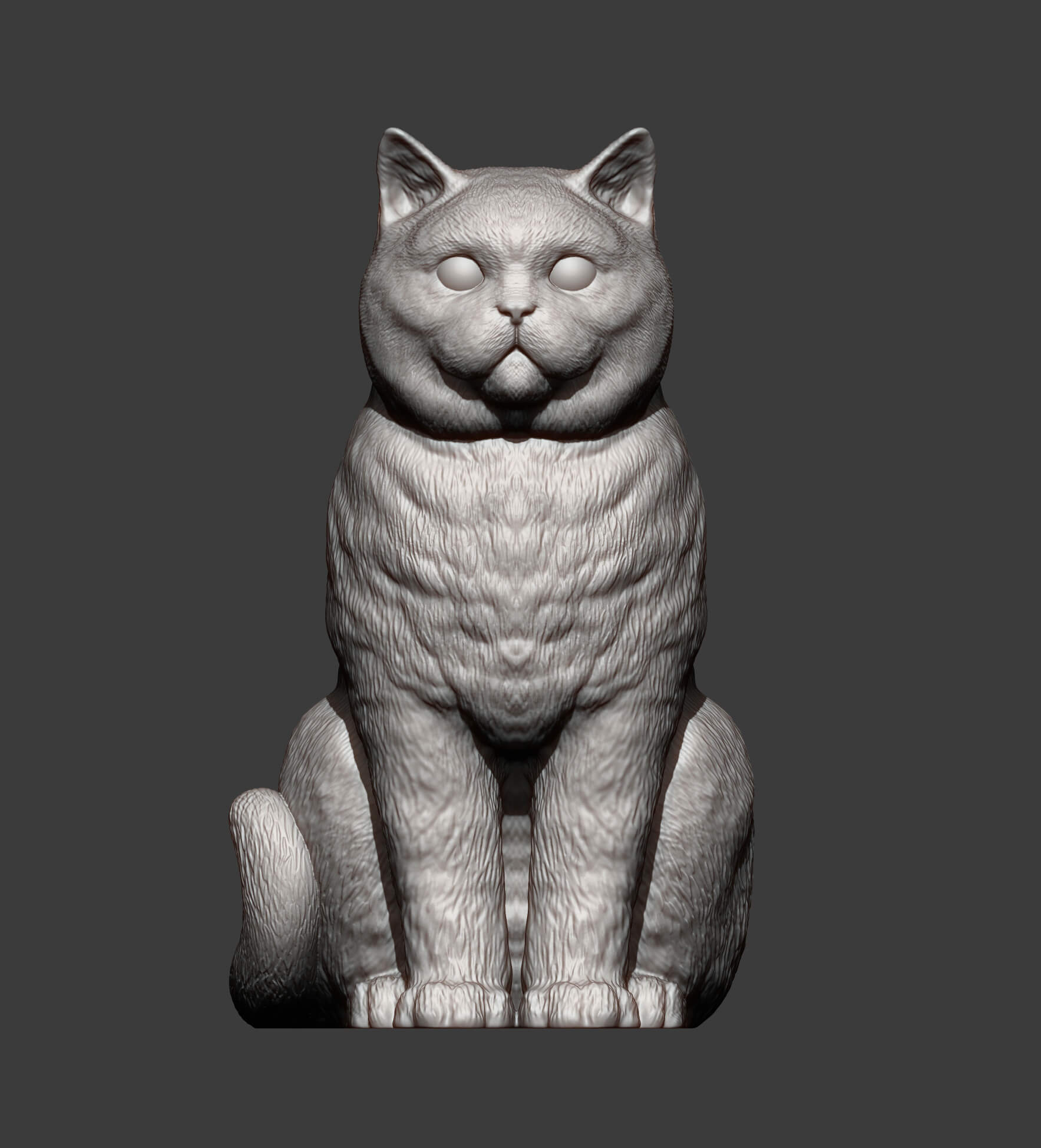 British Shorthair Cat 3D Print Model by Alexander3dart