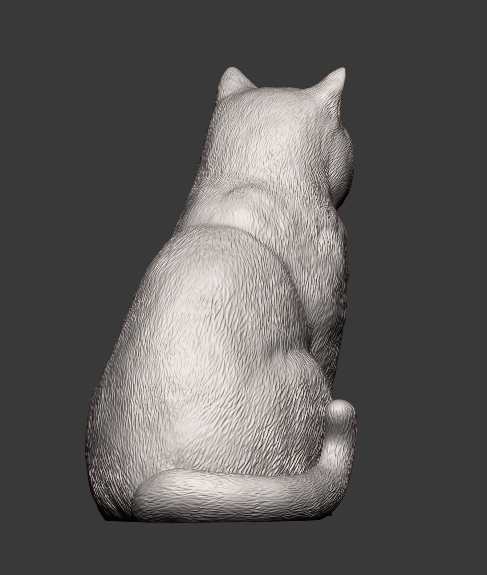 British Shorthair Cat 3D Print Model by Alexander3dart
