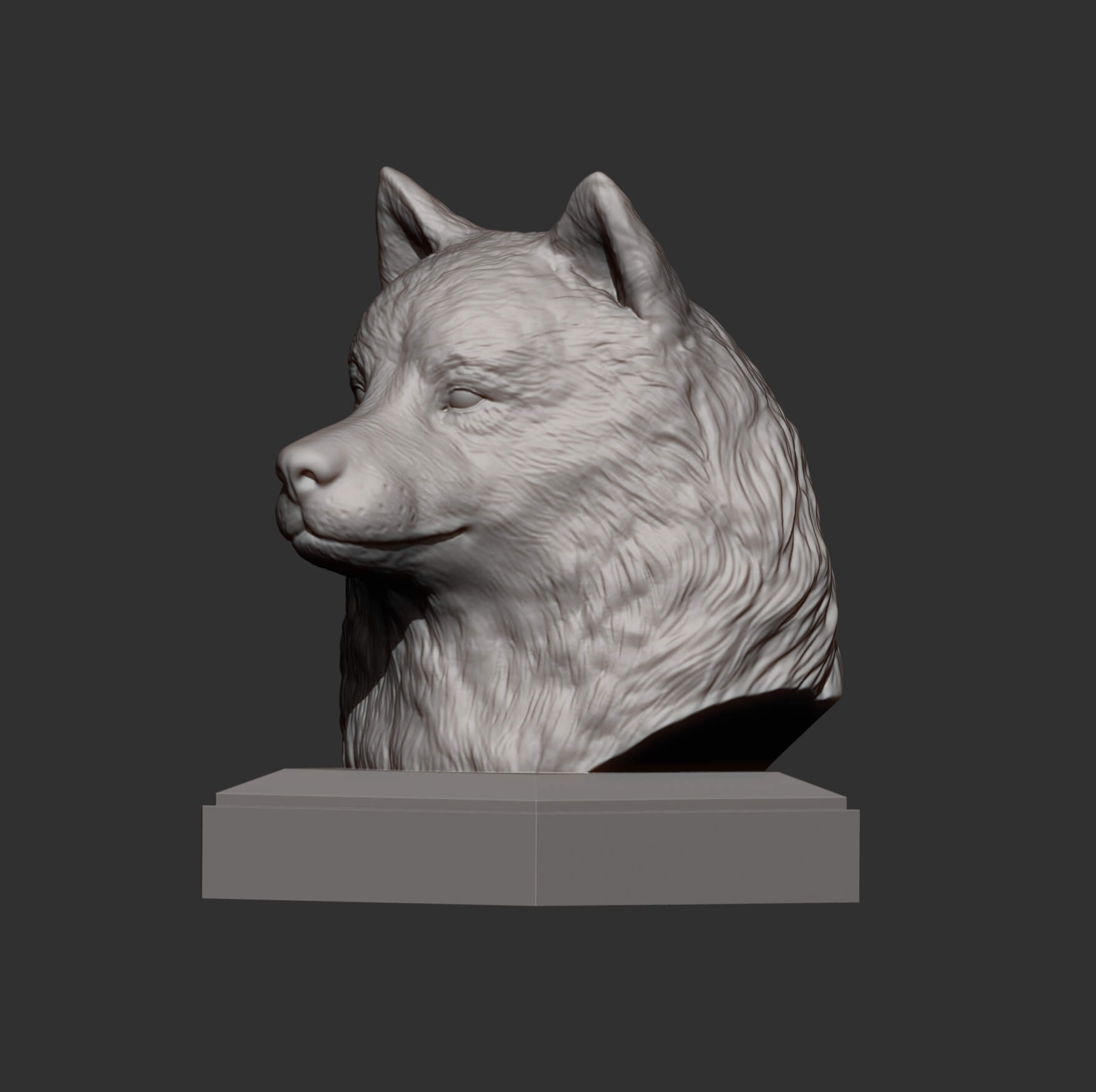 British Shorthair Cat Bust - 3D Model by Alexander3dart