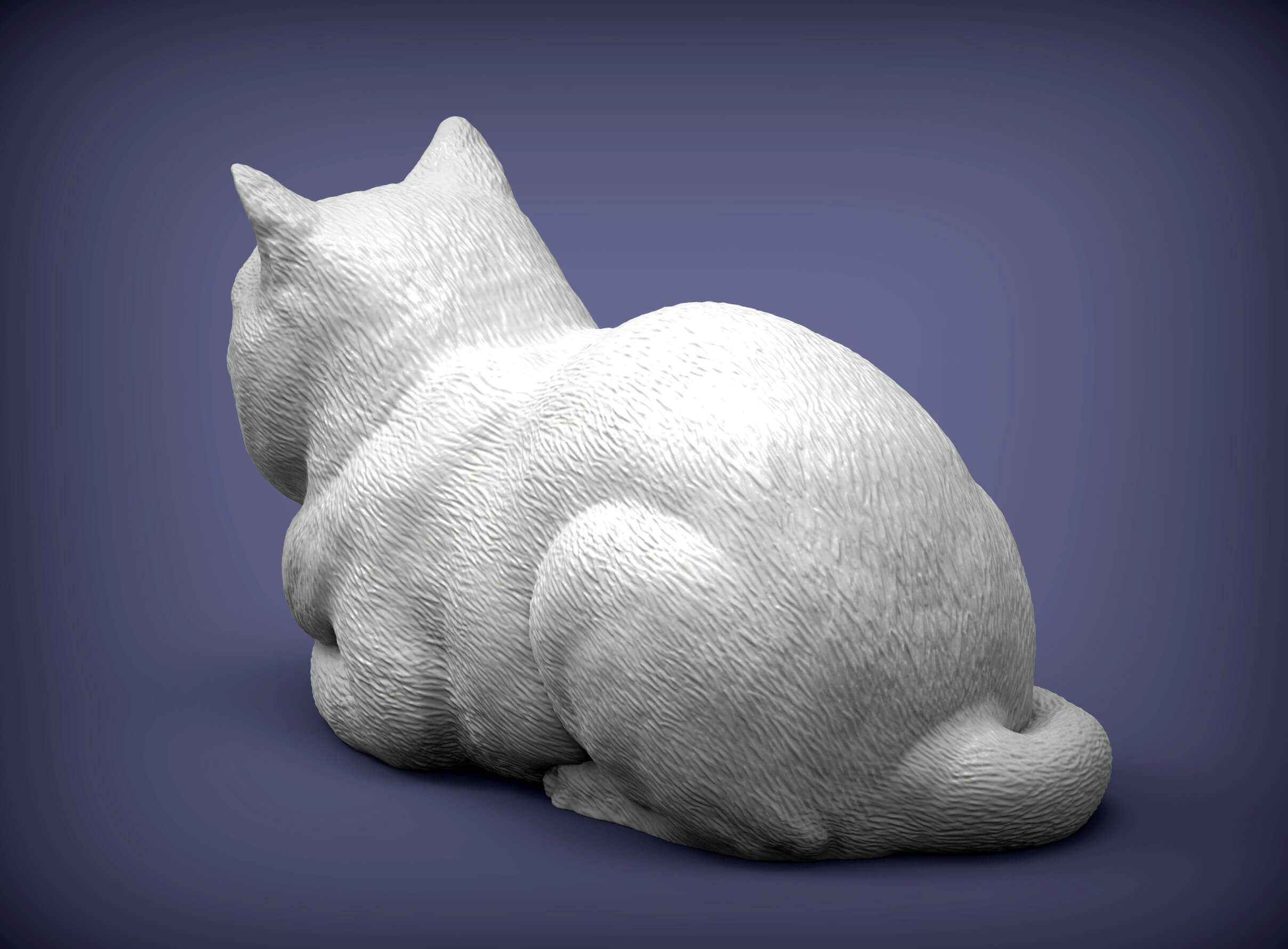 British Shorthair Cat - 3D Model by Alexander3dart