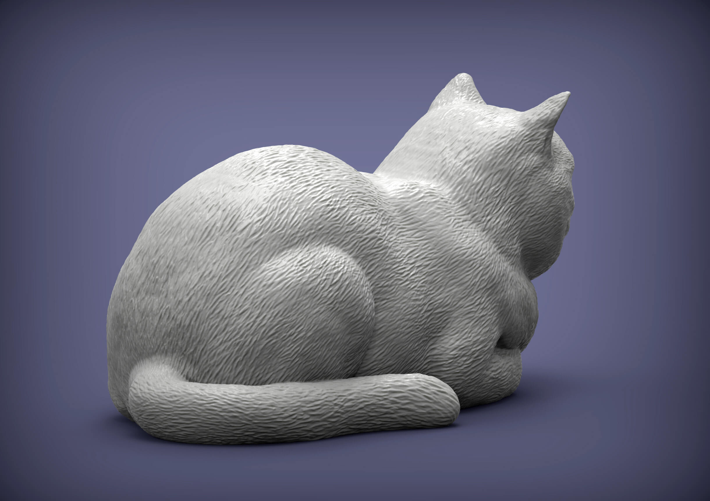 British Shorthair Cat - 3D Model by Alexander3dart