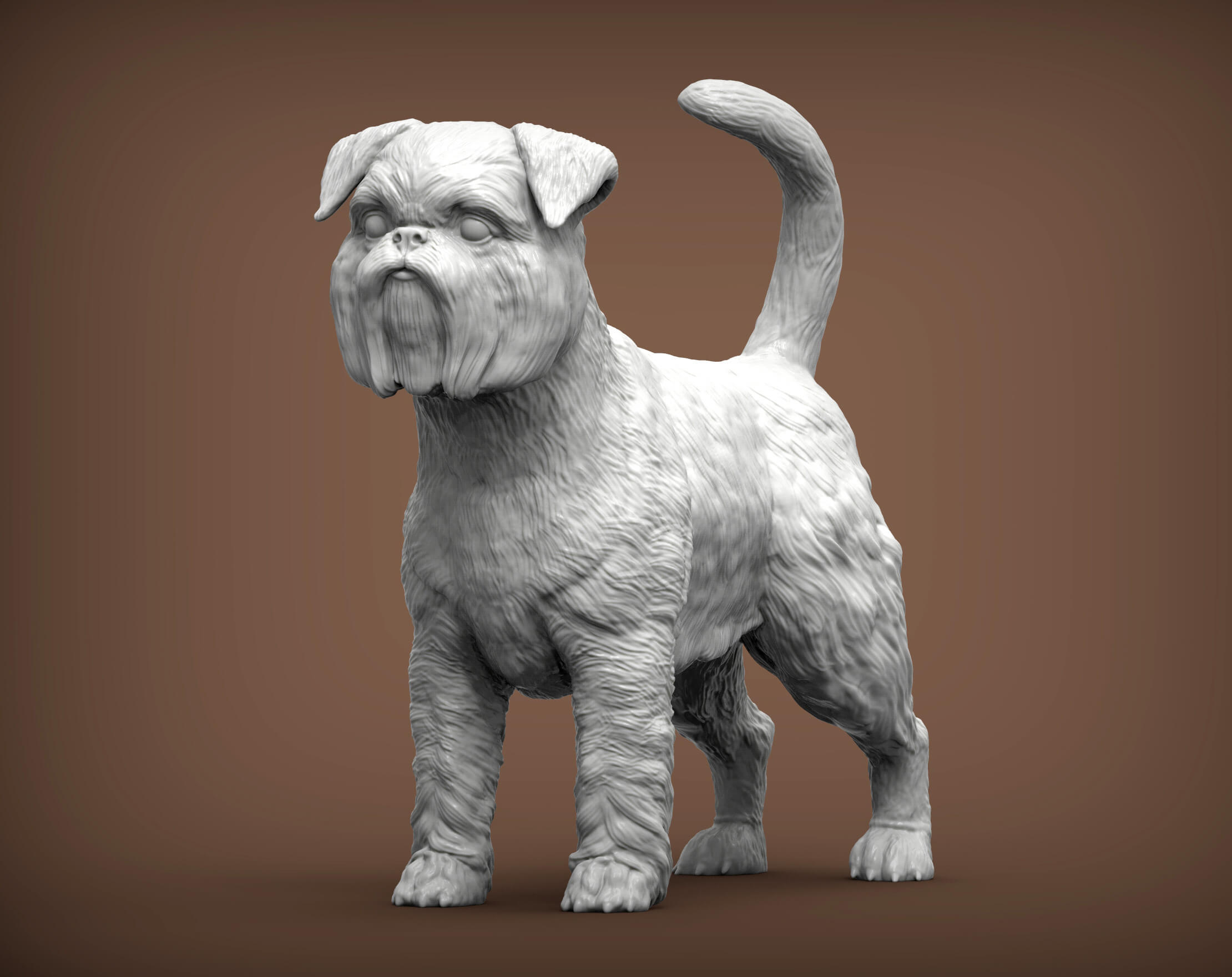 Brussels Griffon 3D Print Model by Alexander3dart