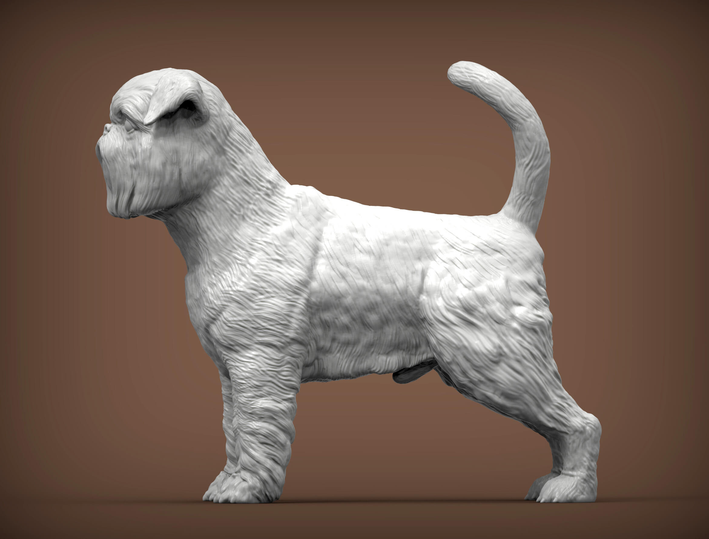 Brussels Griffon 3D Print Model by Alexander3dart