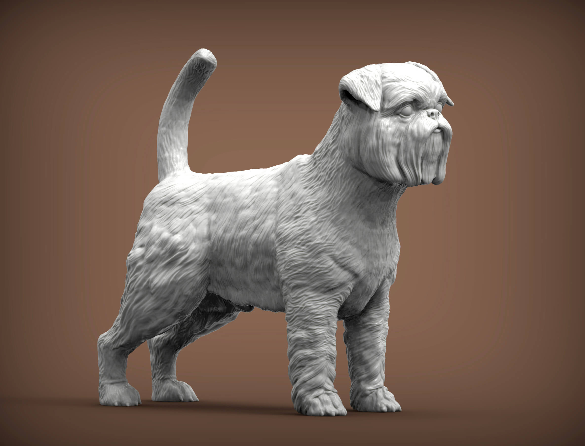 Brussels Griffon 3D Print Model by Alexander3dart