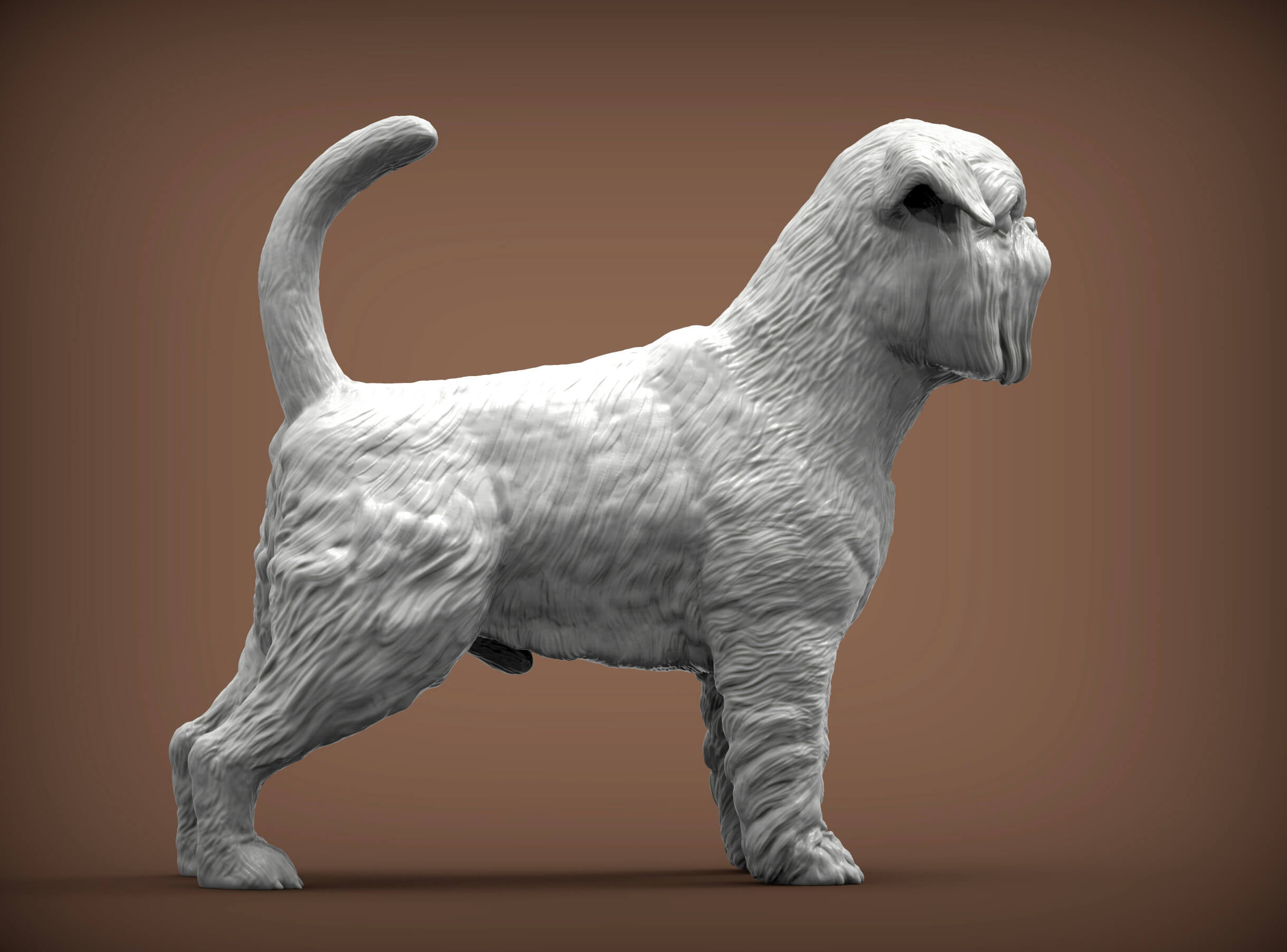 Brussels Griffon 3D Print Model by Alexander3dart