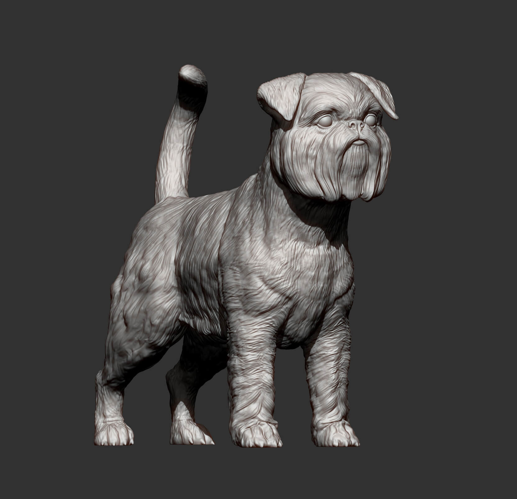 Brussels Griffon 3D Print Model by Alexander3dart