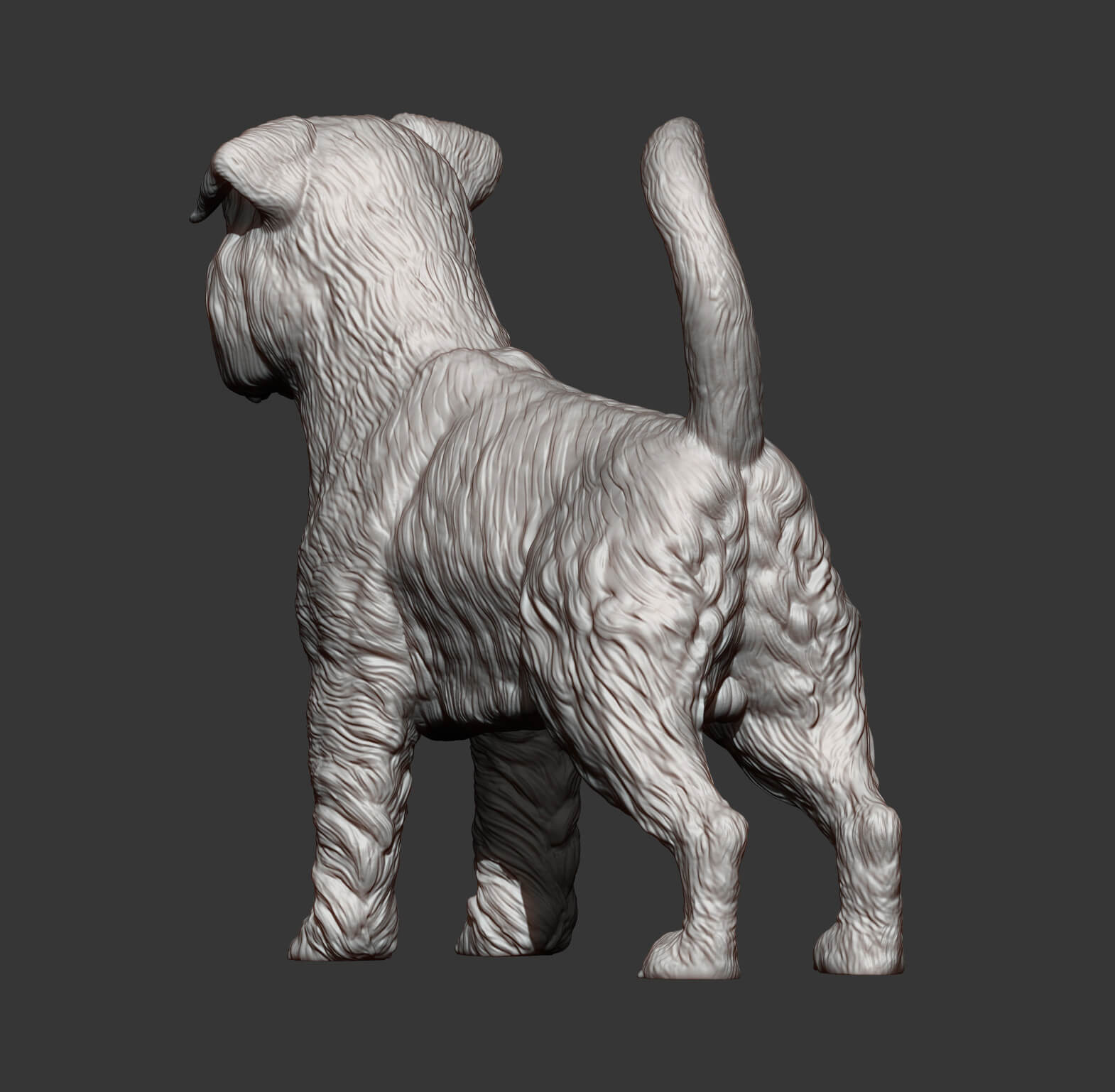Brussels Griffon 3D Print Model by Alexander3dart