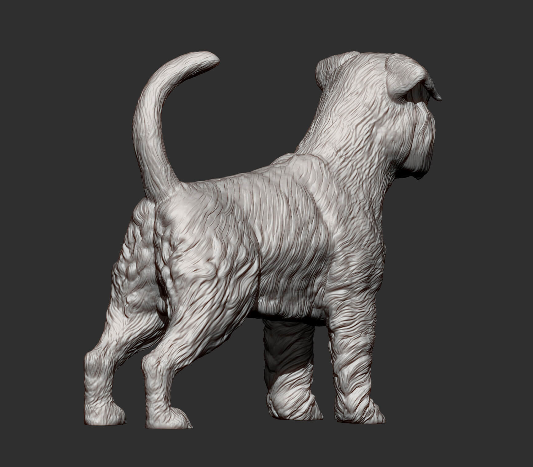 Brussels Griffon 3D Print Model by Alexander3dart