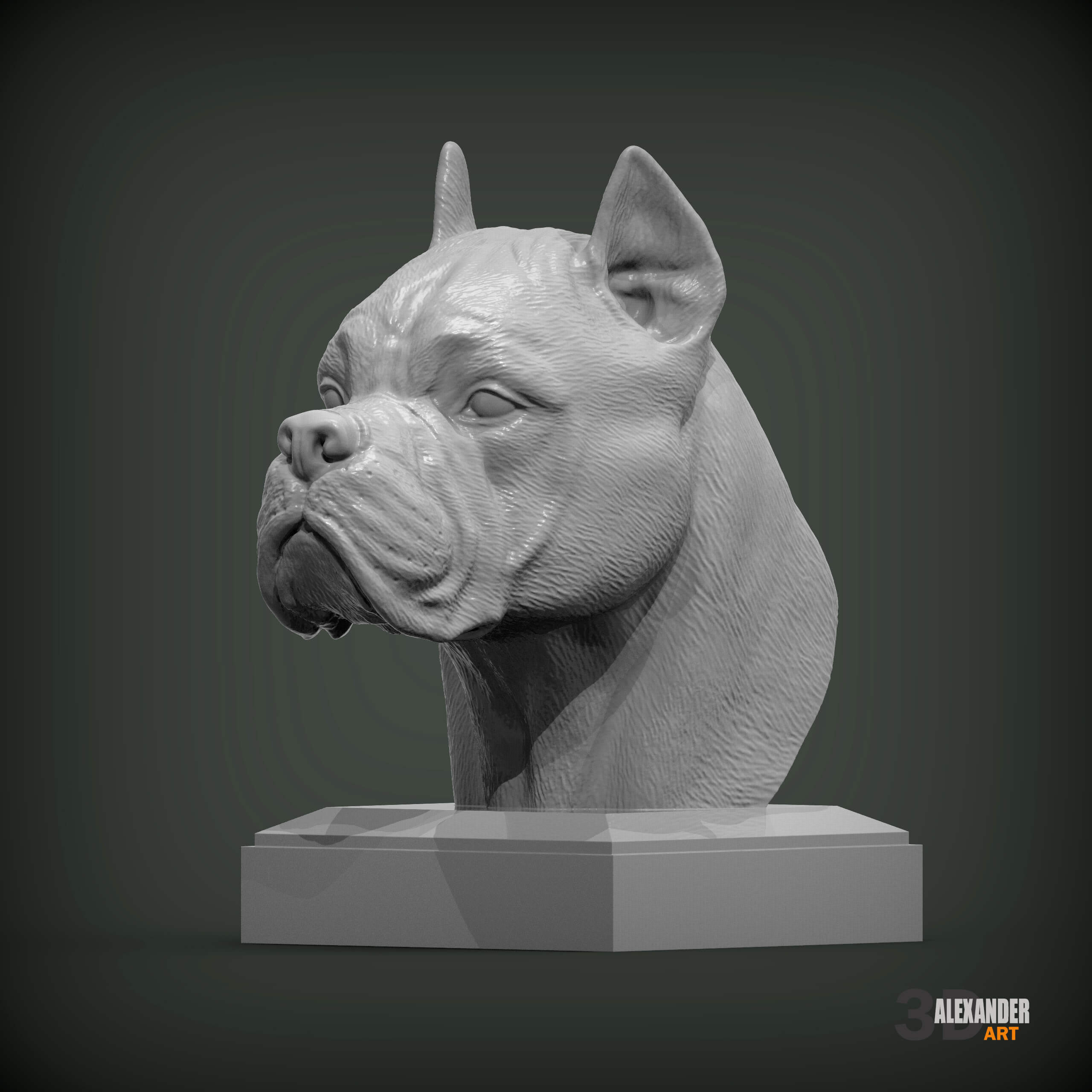 Cane Corso Bust - 3D Model by Alexander3dart