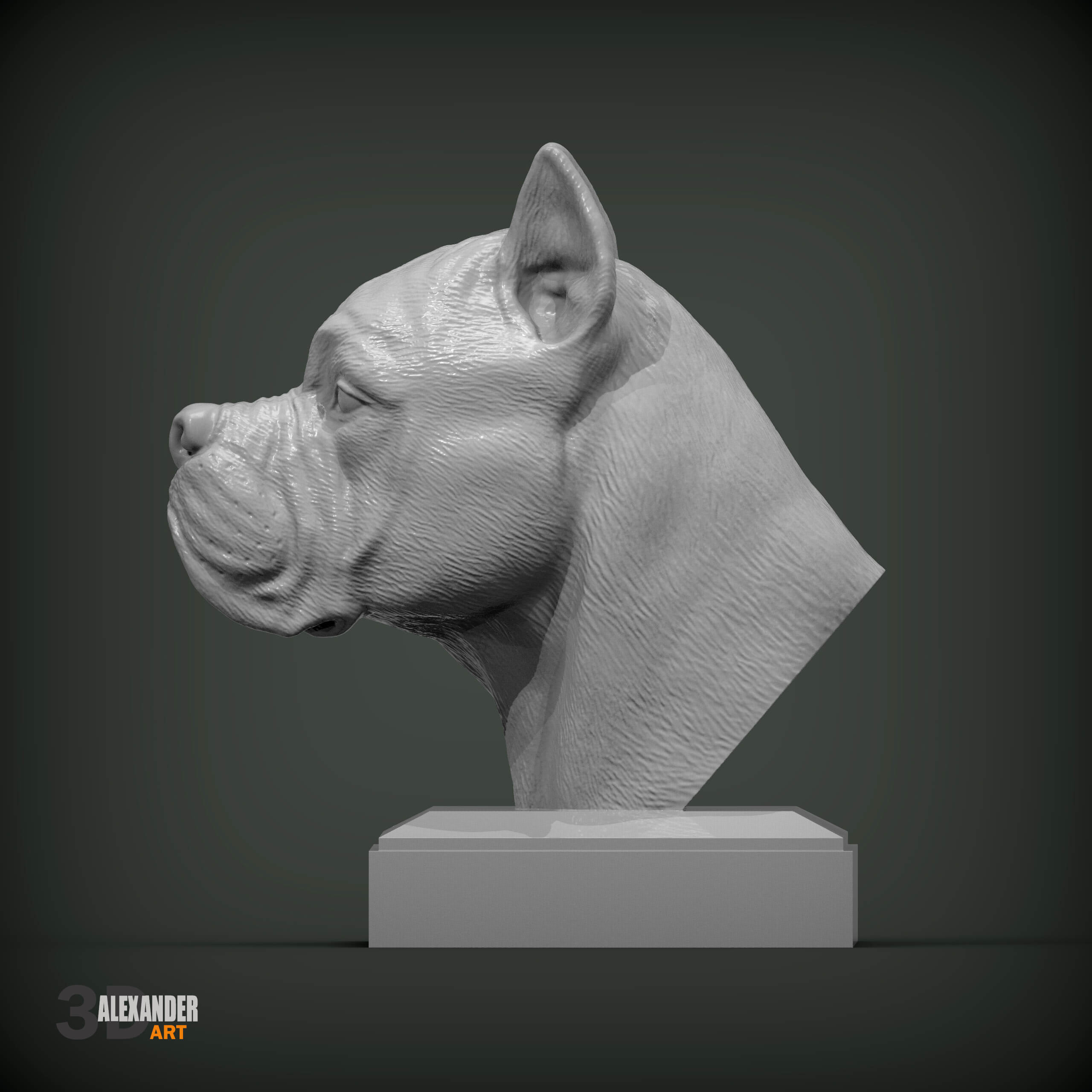 Cane Corso Bust - 3D Model by Alexander3dart