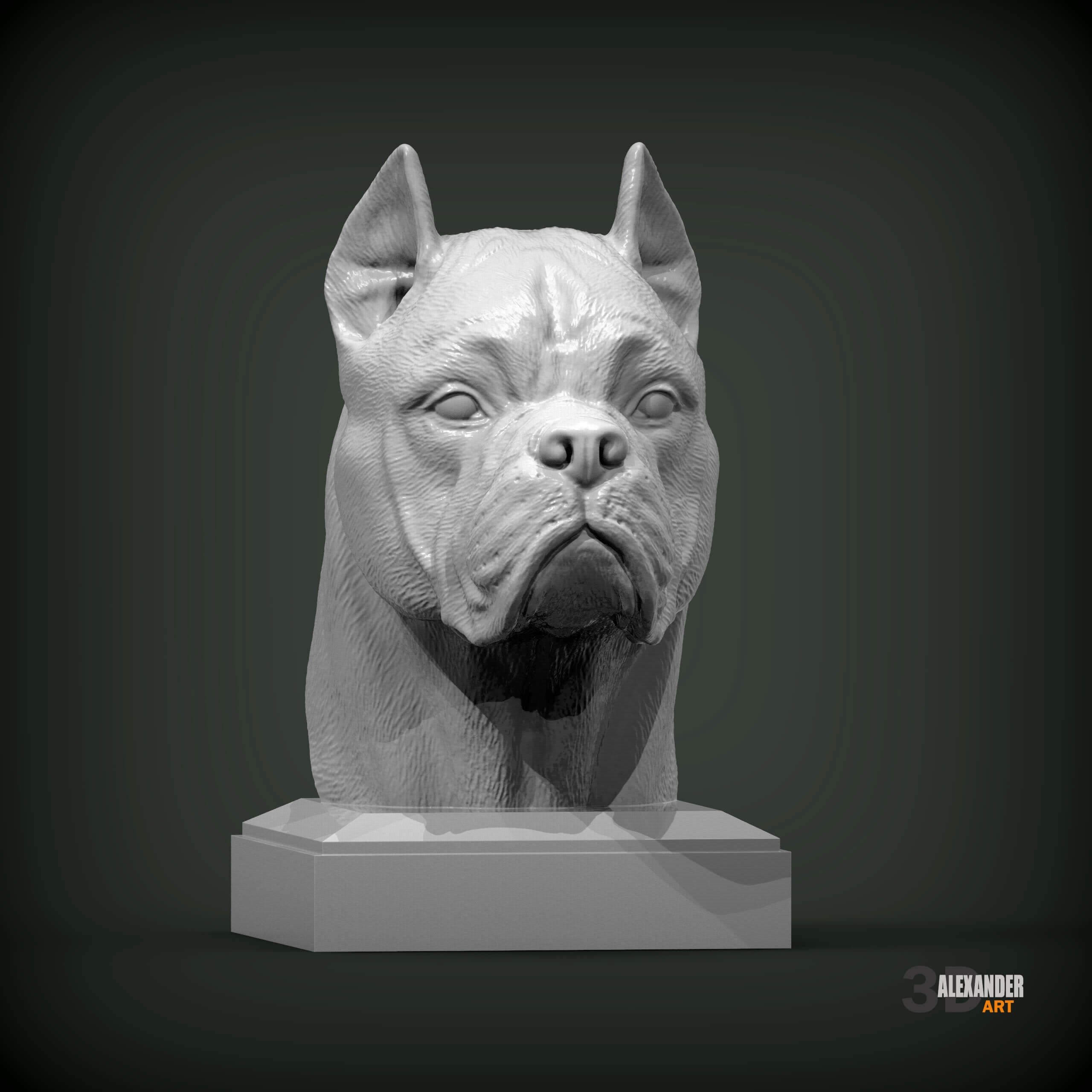 Cane Corso Bust - 3D Model by Alexander3dart