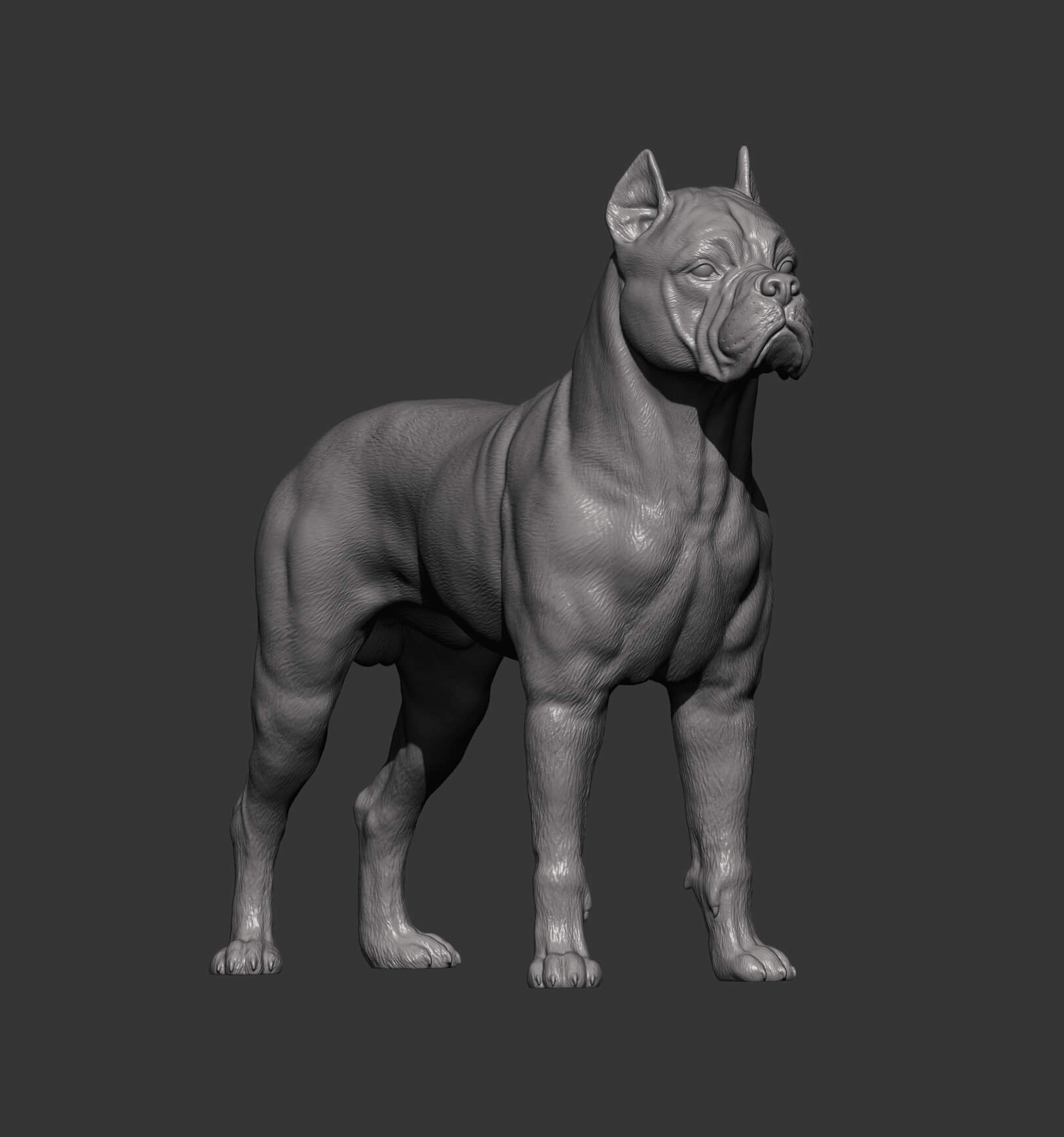Cane Corso Sculpture - 3D Model by Alexander3dart