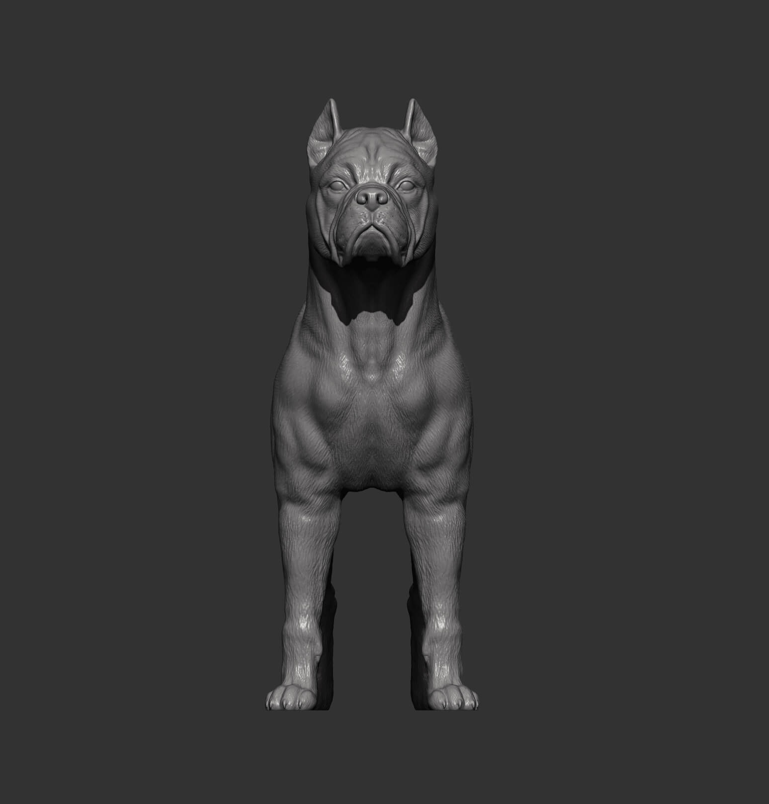 Cane Corso Sculpture - 3D Model by Alexander3dart