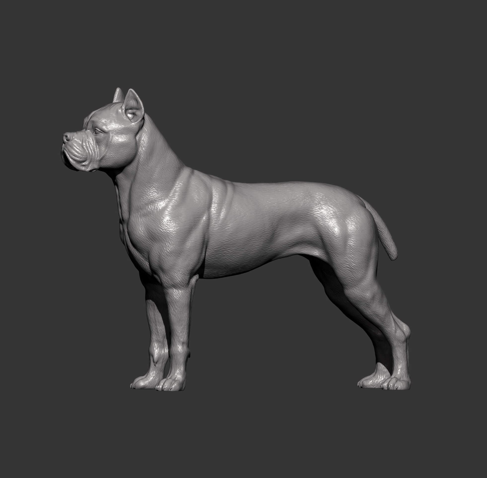 Cane Corso Sculpture - 3D Model by Alexander3dart