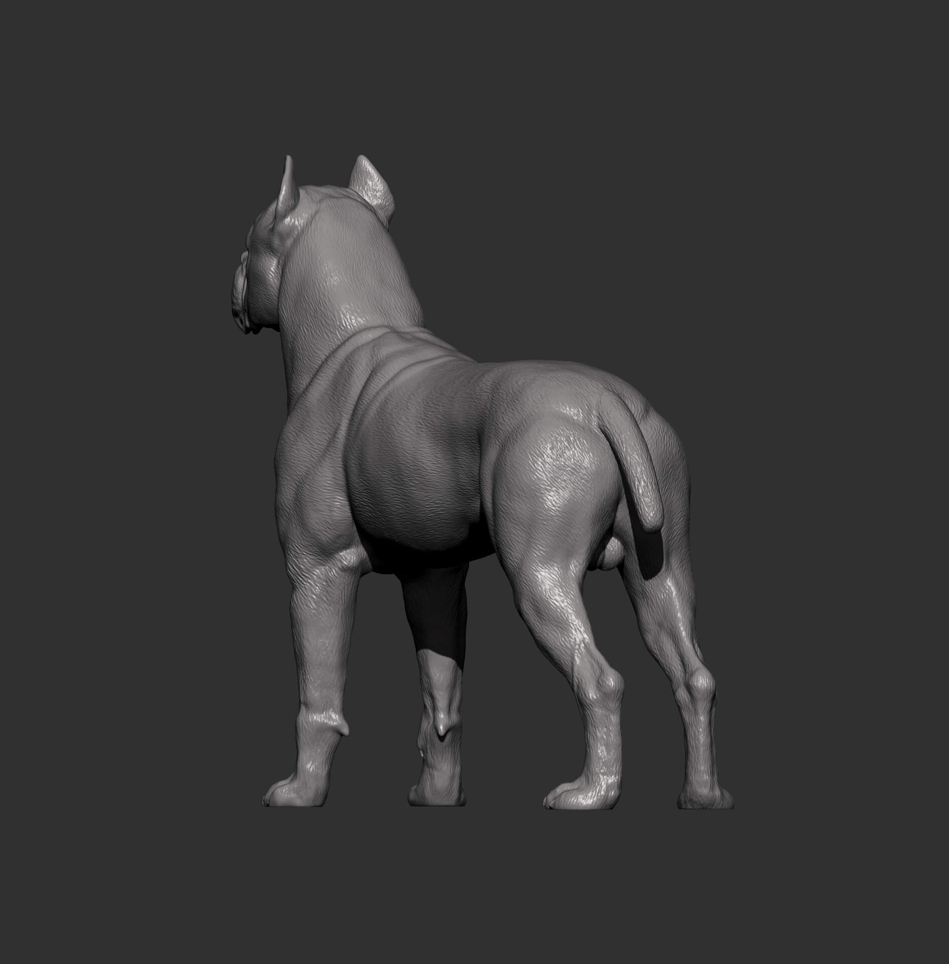 Cane Corso Sculpture - 3D Model by Alexander3dart