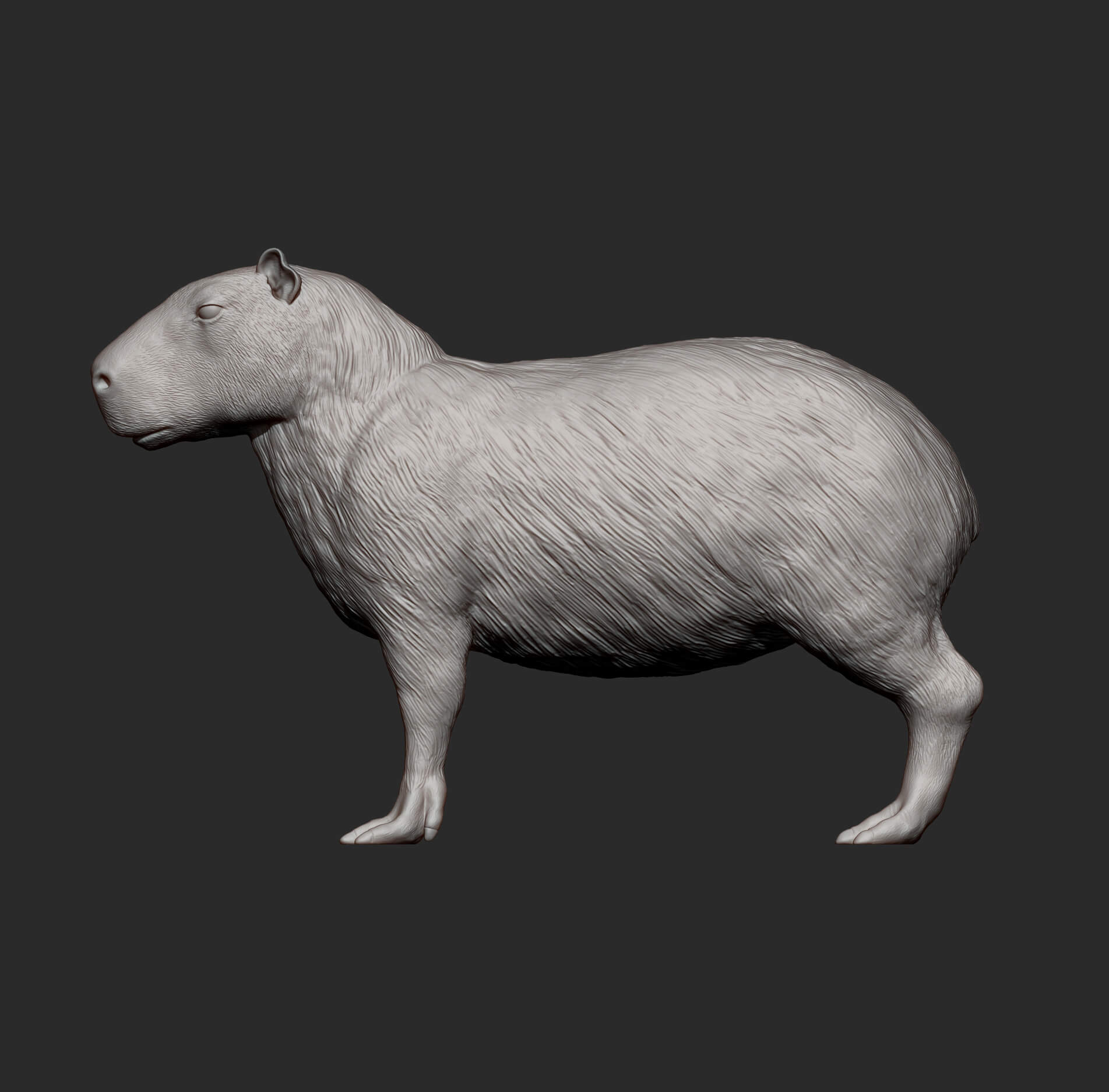 Capybara Sculpture - 3D Model by Alexander3dart
