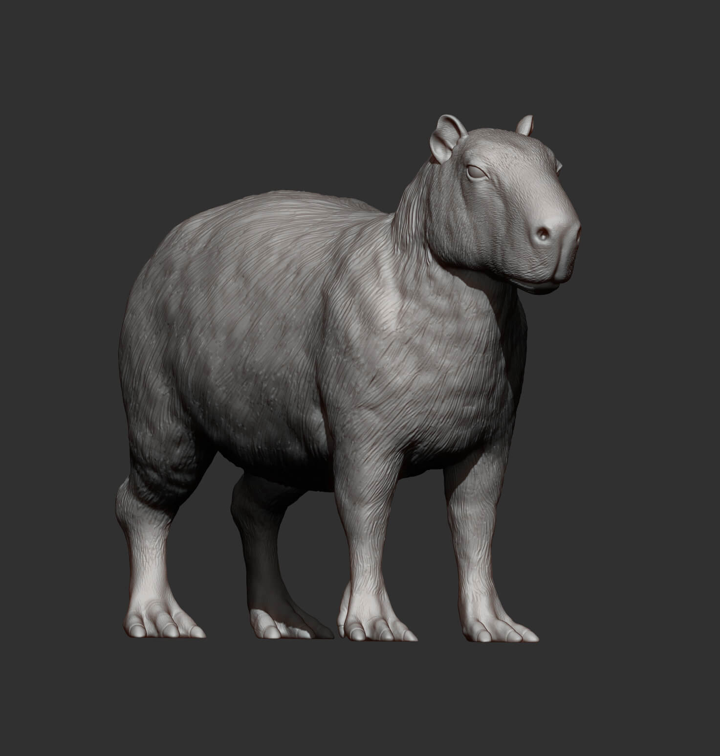 Capybara Sculpture - 3D Model by Alexander3dart
