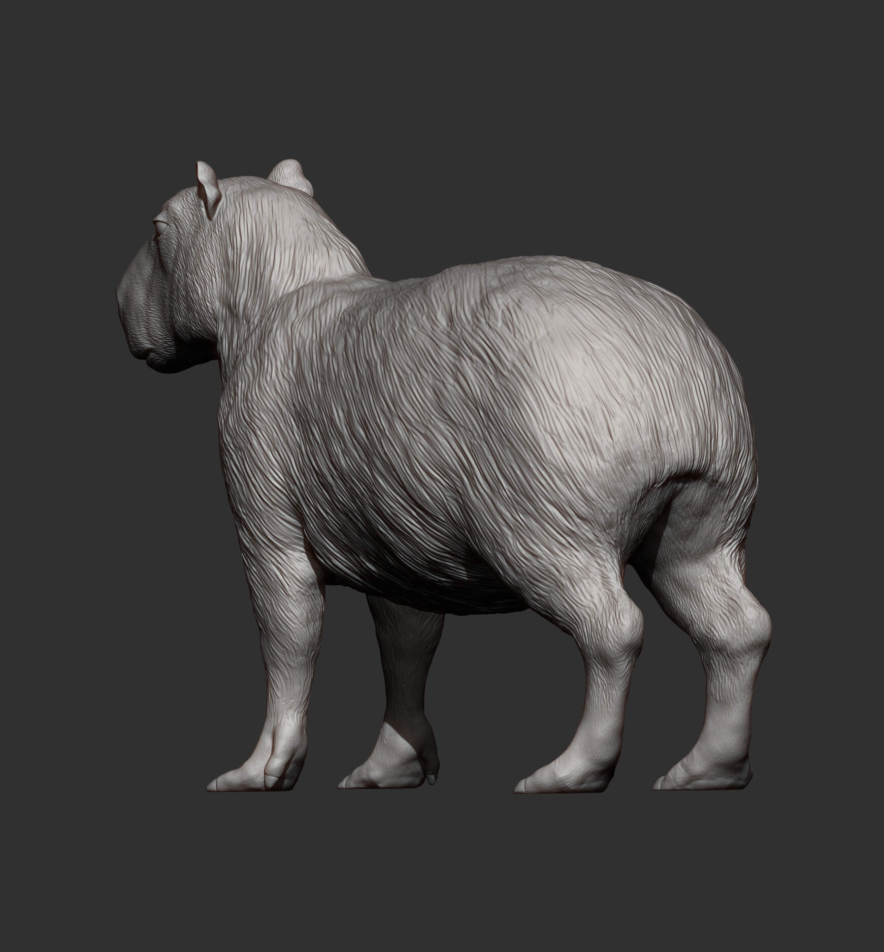 Capybara Sculpture - 3D Model by Alexander3dart