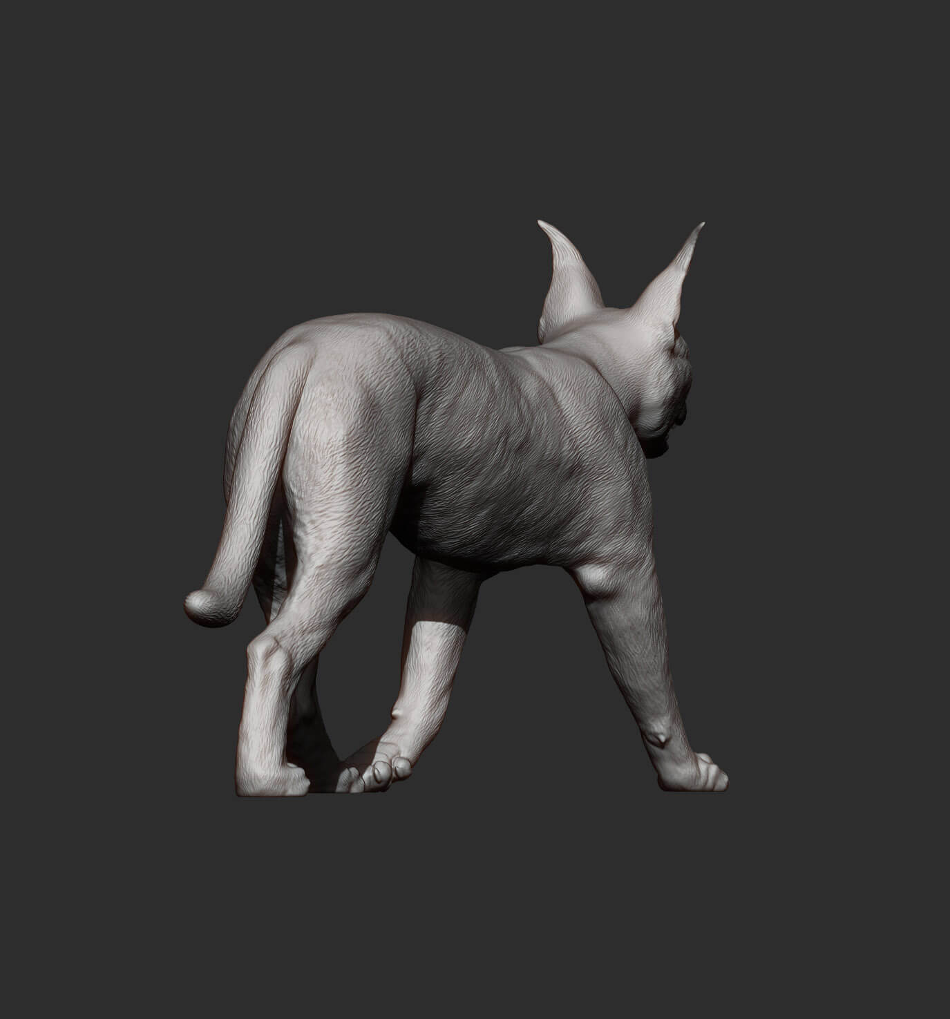 Caracal Sculpture - 3D Model by Alexander3dart