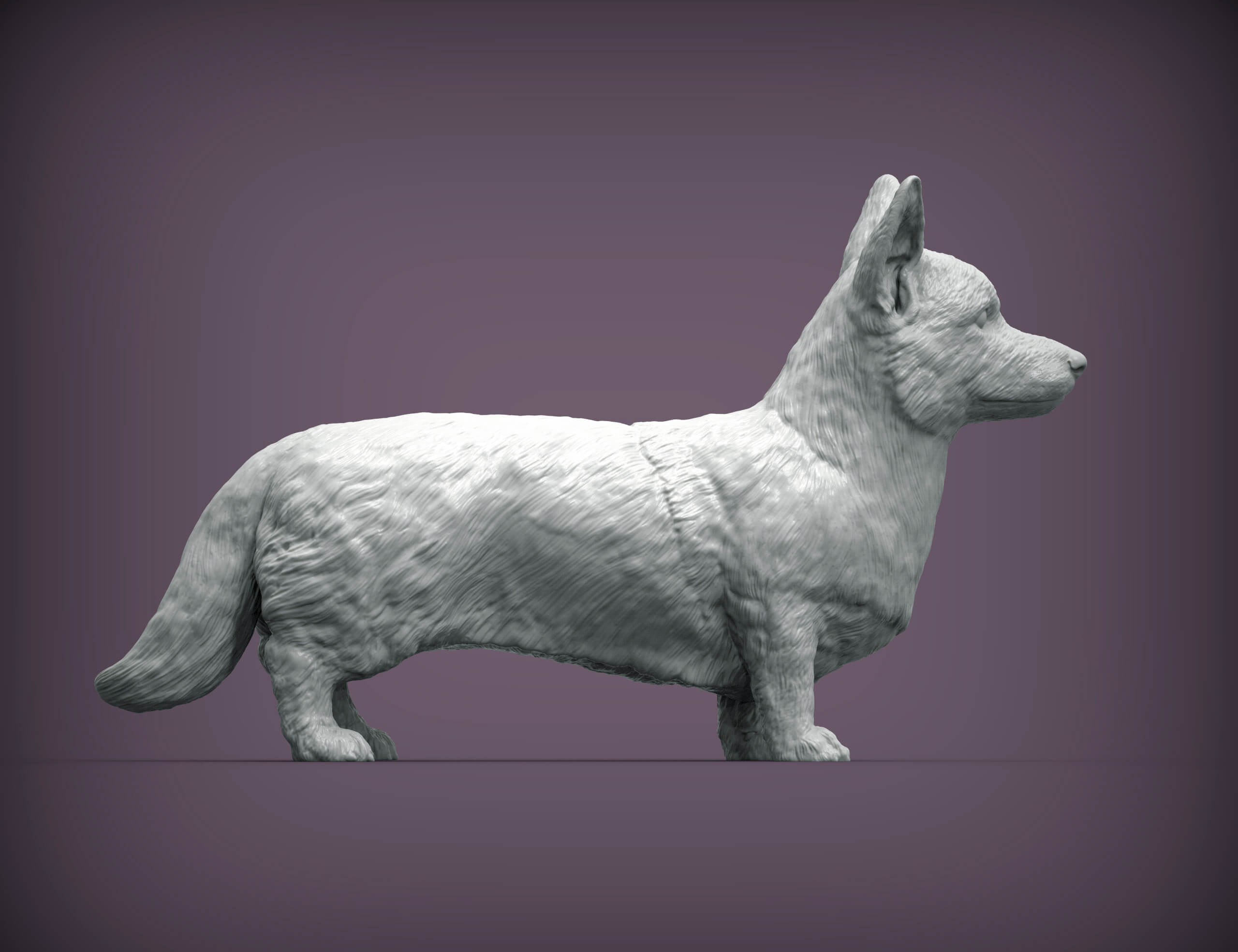 Cardigan Corgi 3D Print Model by Alexander3dart