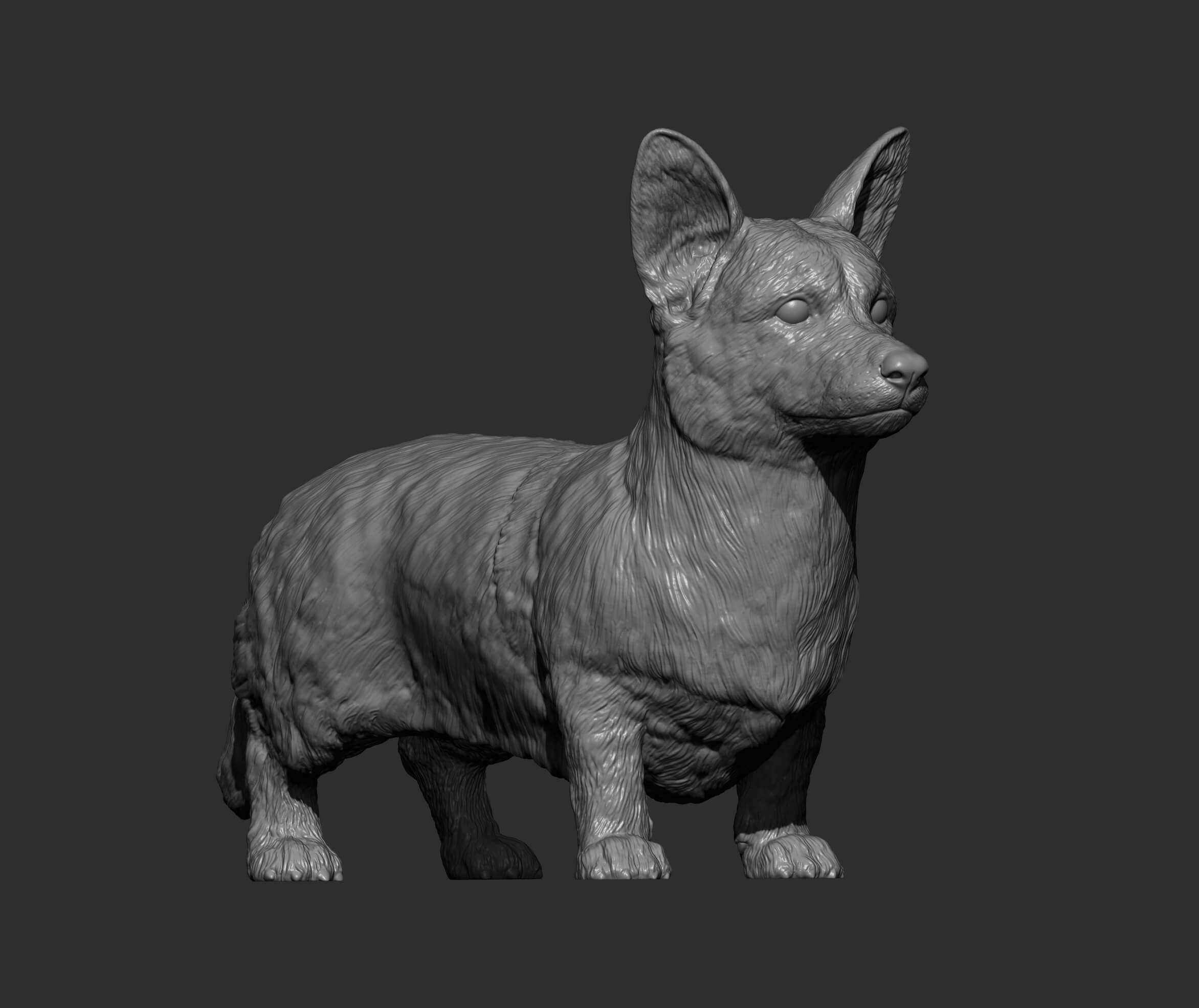 Cardigan Corgi 3D Print Model by Alexander3dart