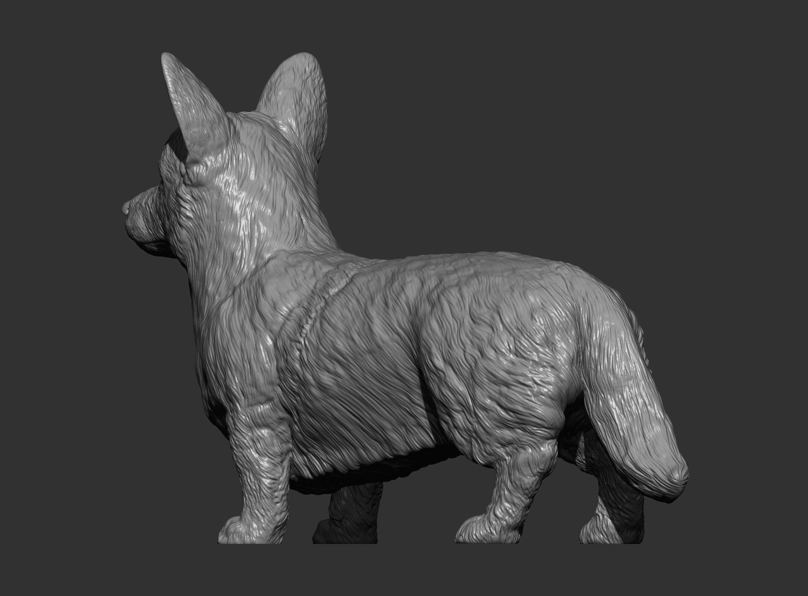 Cardigan Corgi 3D Print Model by Alexander3dart