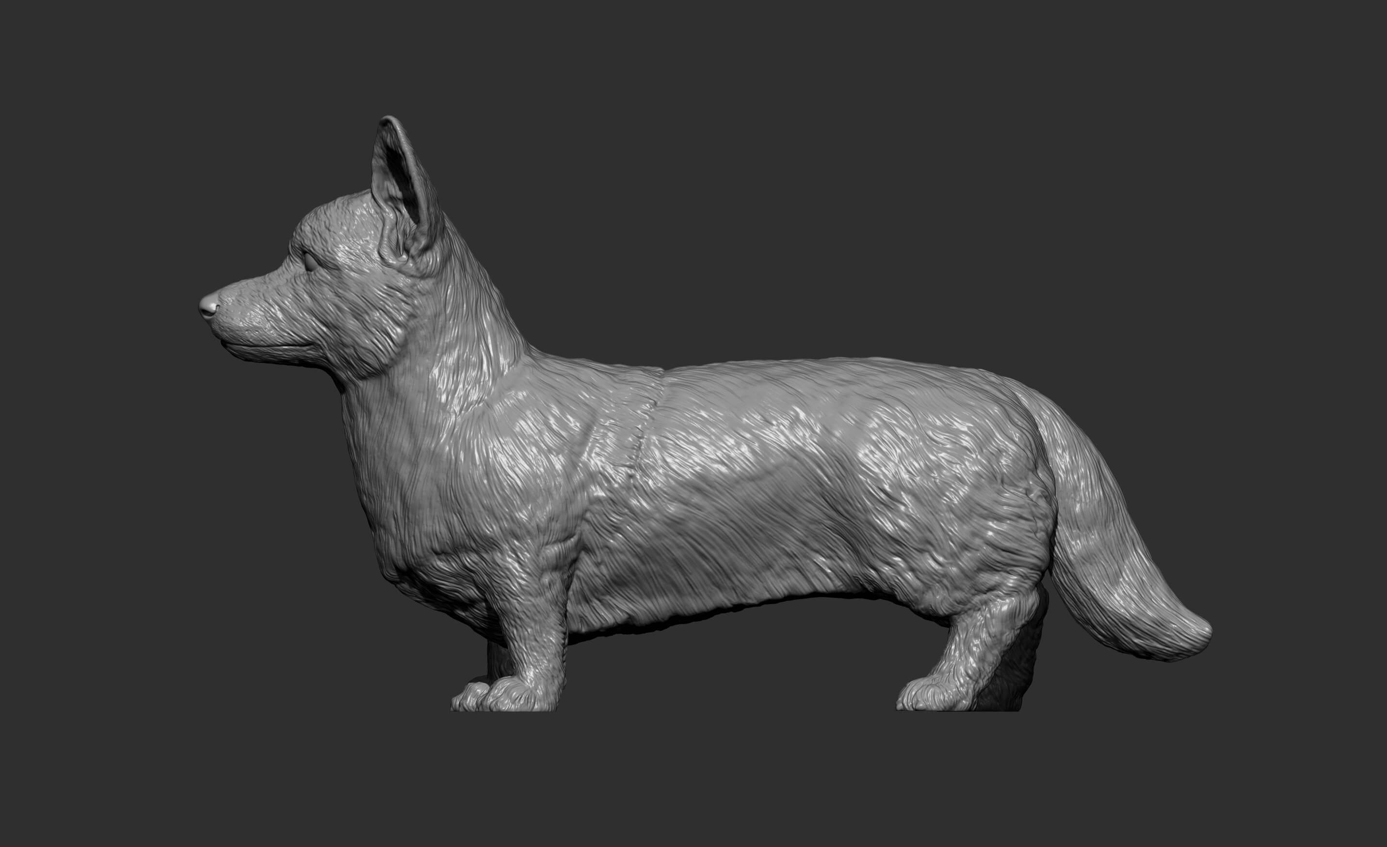 Cardigan Corgi 3D Print Model by Alexander3dart