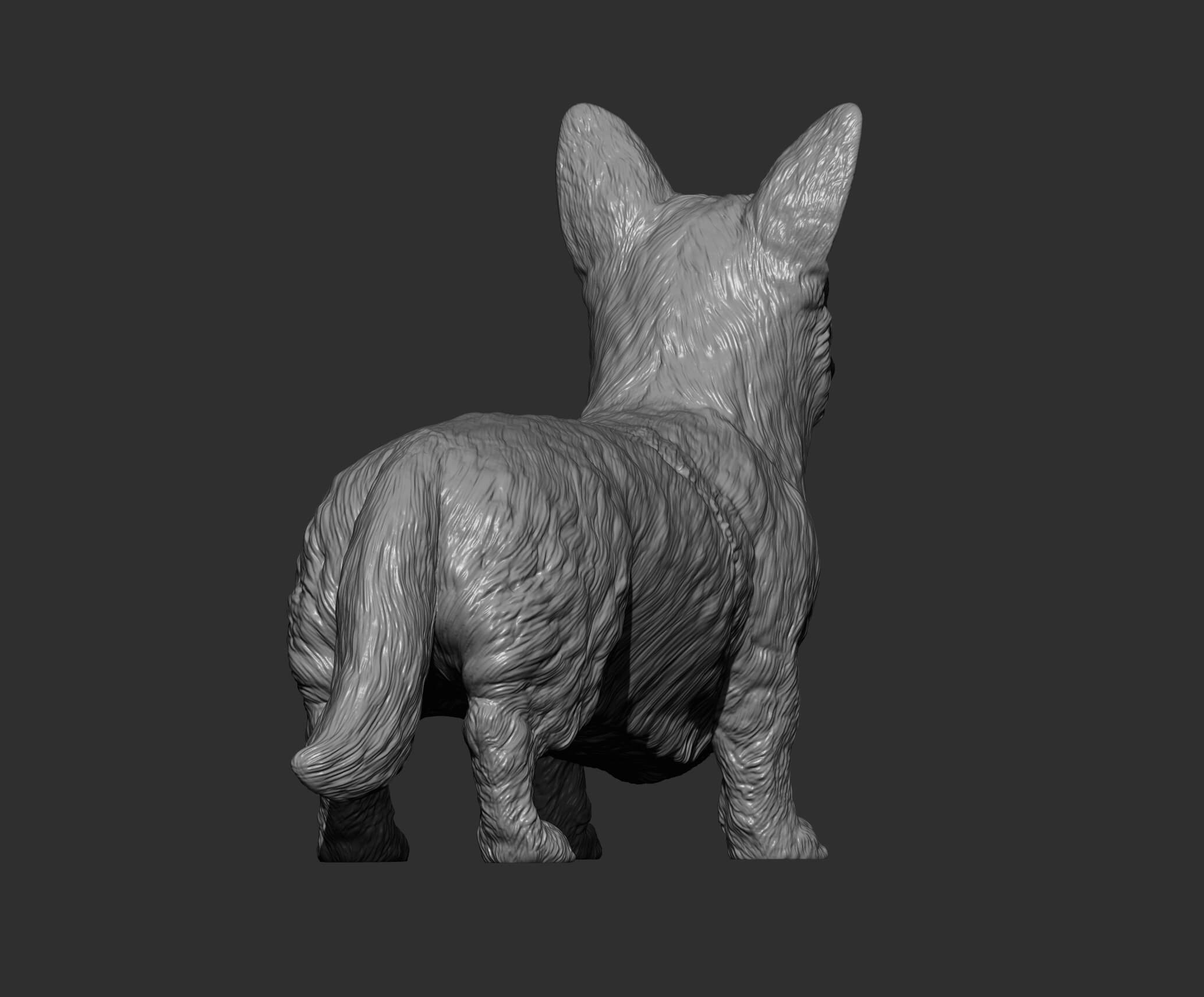 Cardigan Corgi 3D Print Model by Alexander3dart