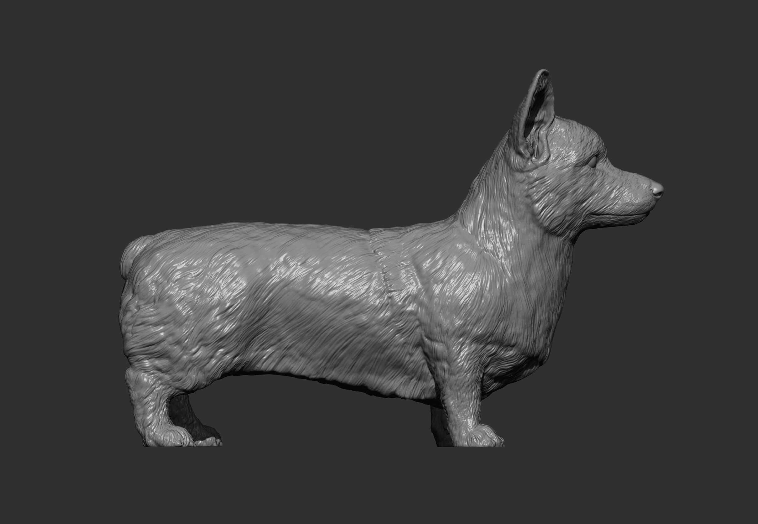 Cardigan Corgi 3D Print Model by Alexander3dart