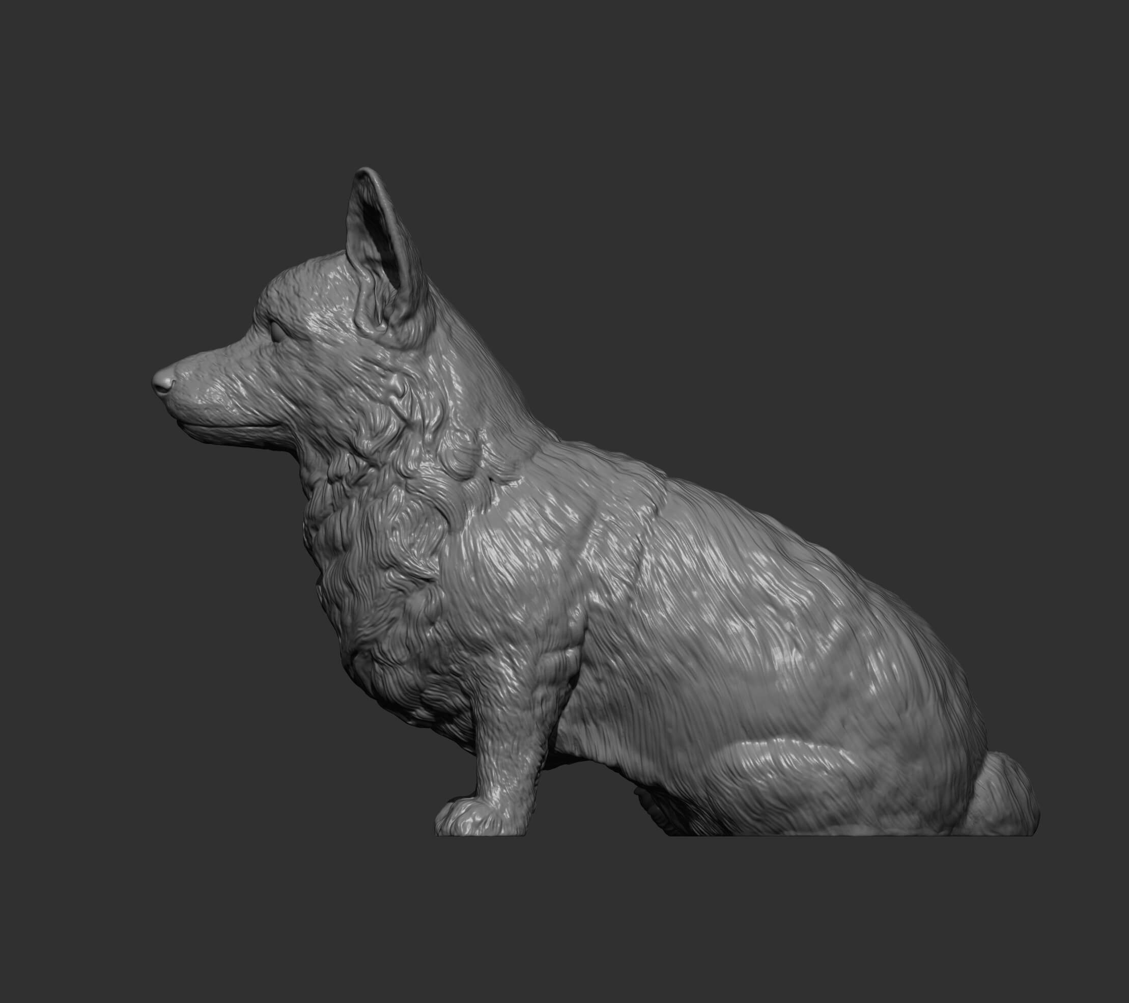 Cardigan Corgi Sitting 3D Print Model by Alexander3dart