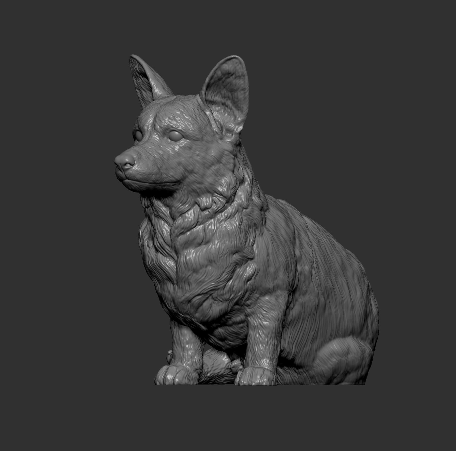 Cardigan Corgi Sitting 3D Print Model by Alexander3dart