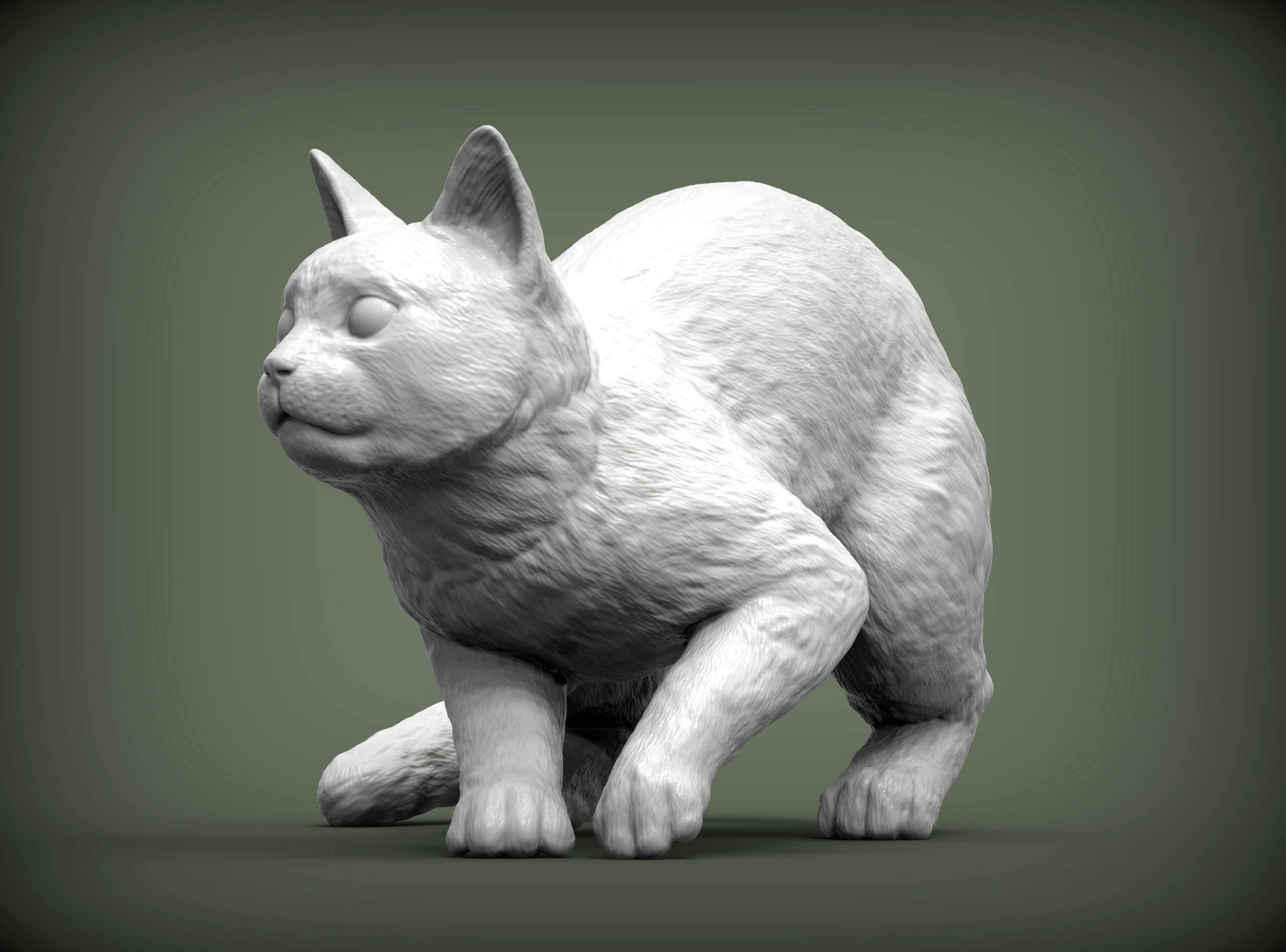 Cat Before The Jump 3D Print Model by Alexander3dart