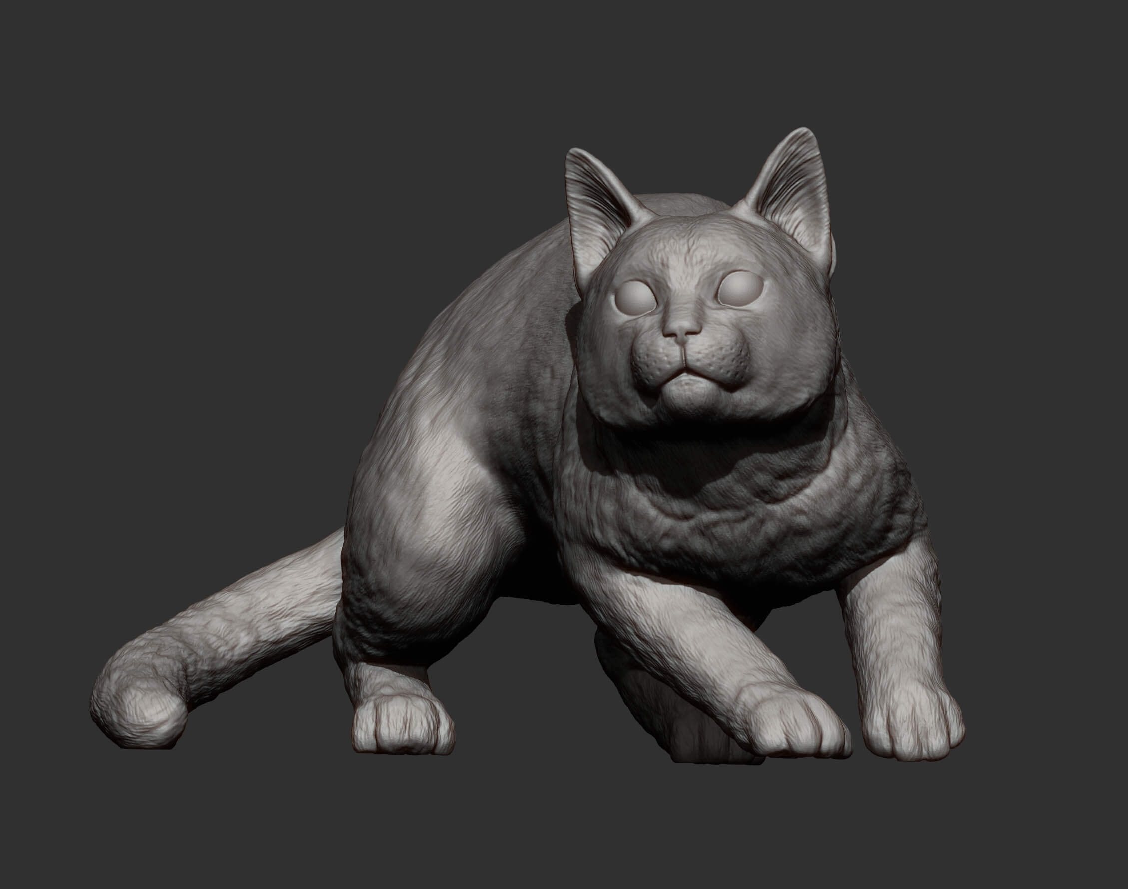 Cat Before The Jump 3D Print Model by Alexander3dart