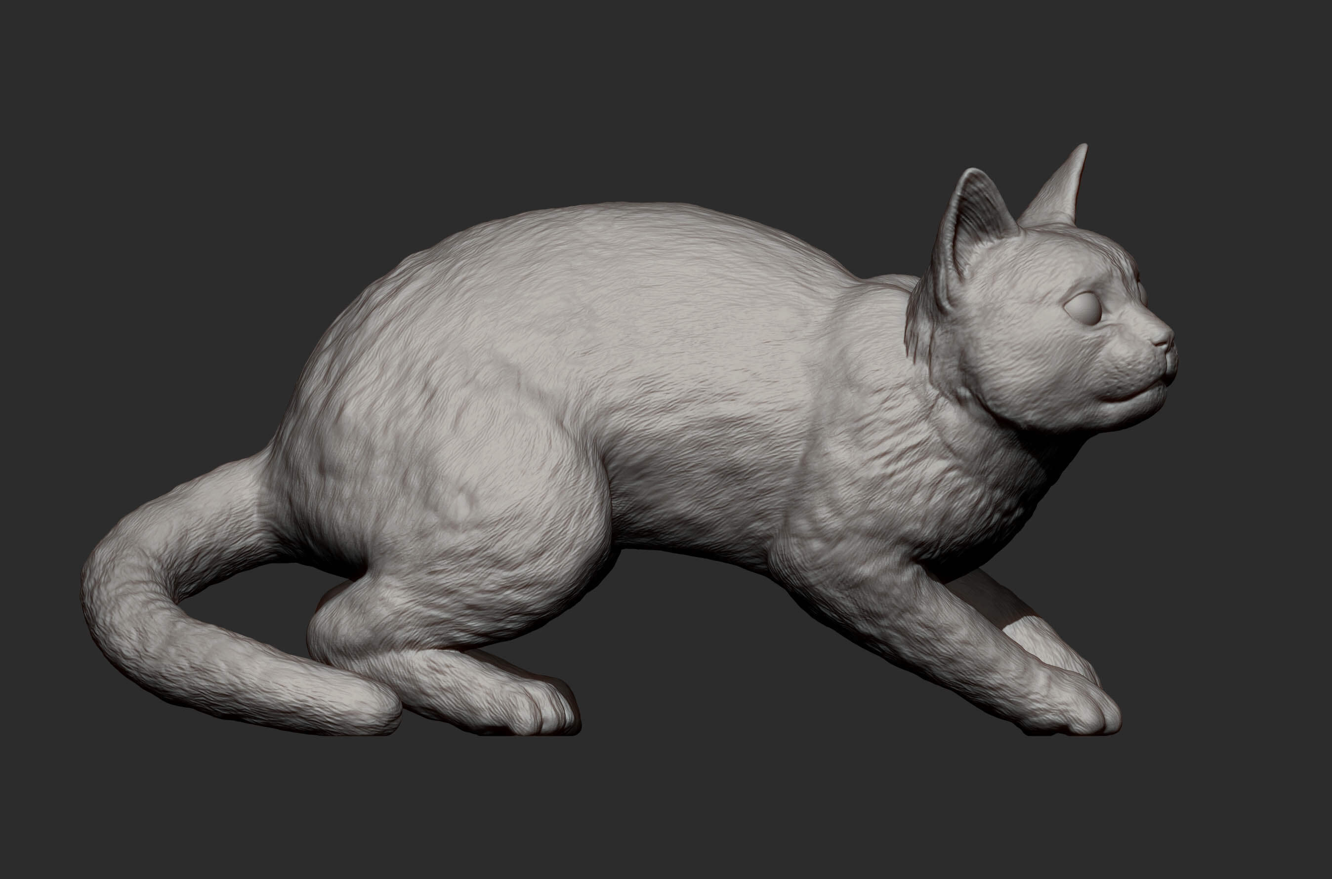 Cat Before The Jump 3D Print Model by Alexander3dart