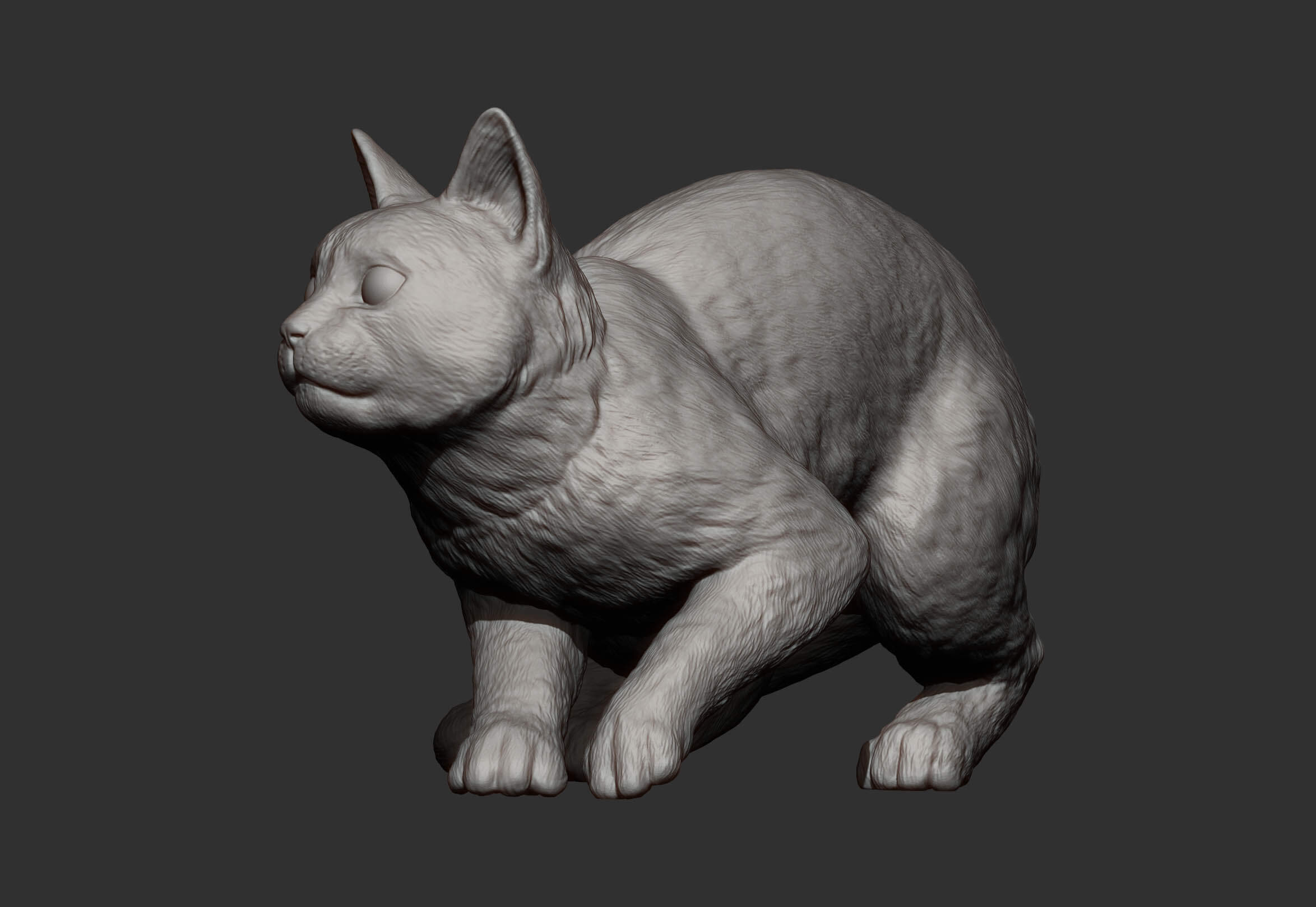 Cat Before The Jump 3D Print Model by Alexander3dart