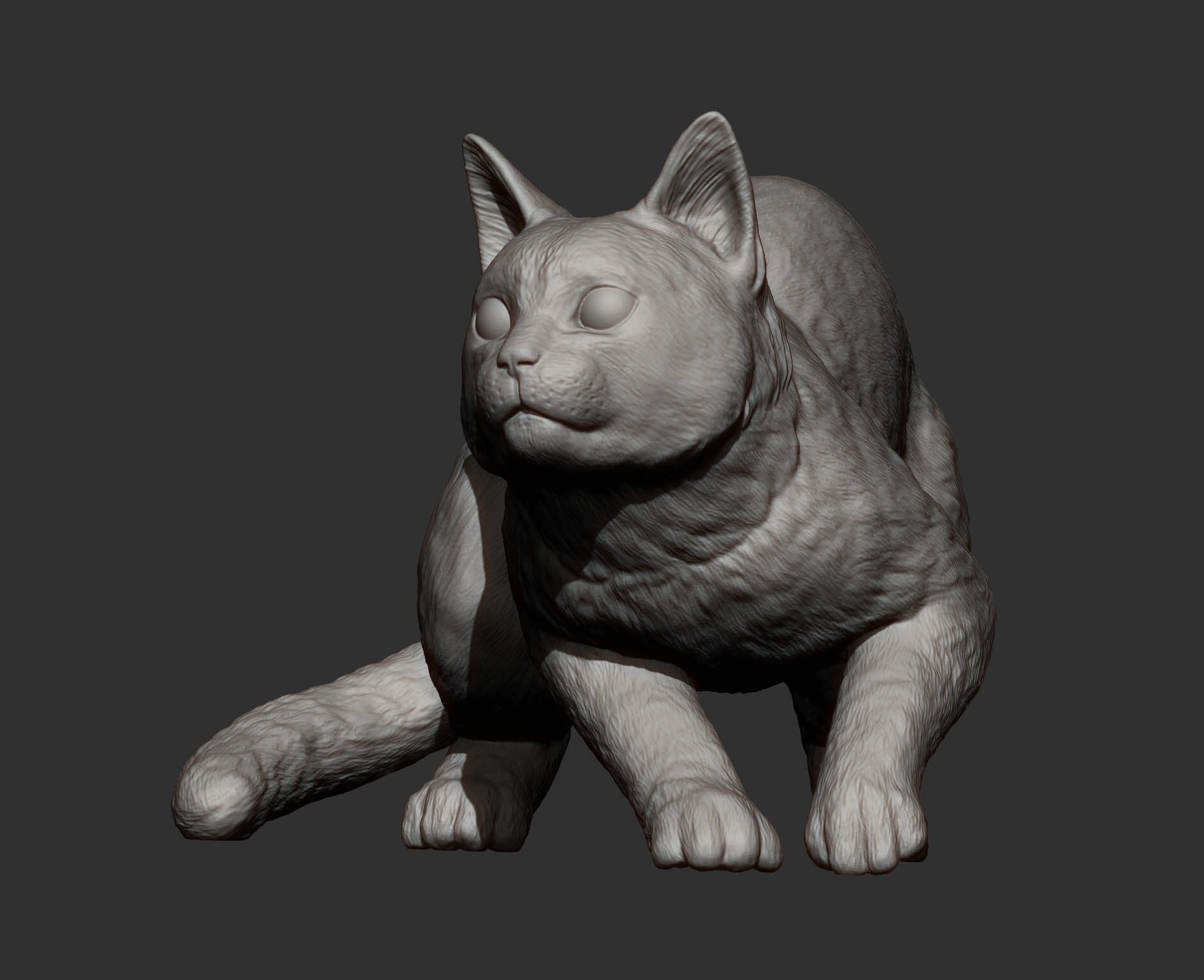 Cat Before The Jump 3D Print Model by Alexander3dart