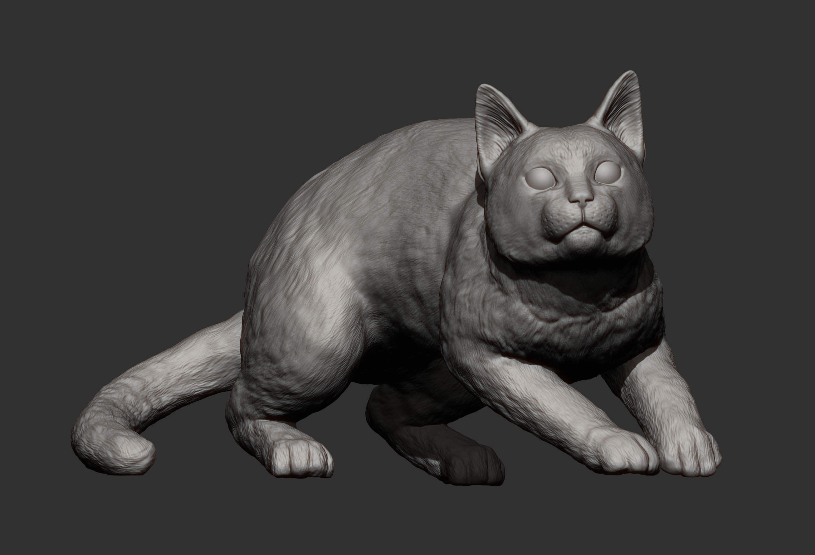 Cat Before The Jump 3D Print Model by Alexander3dart