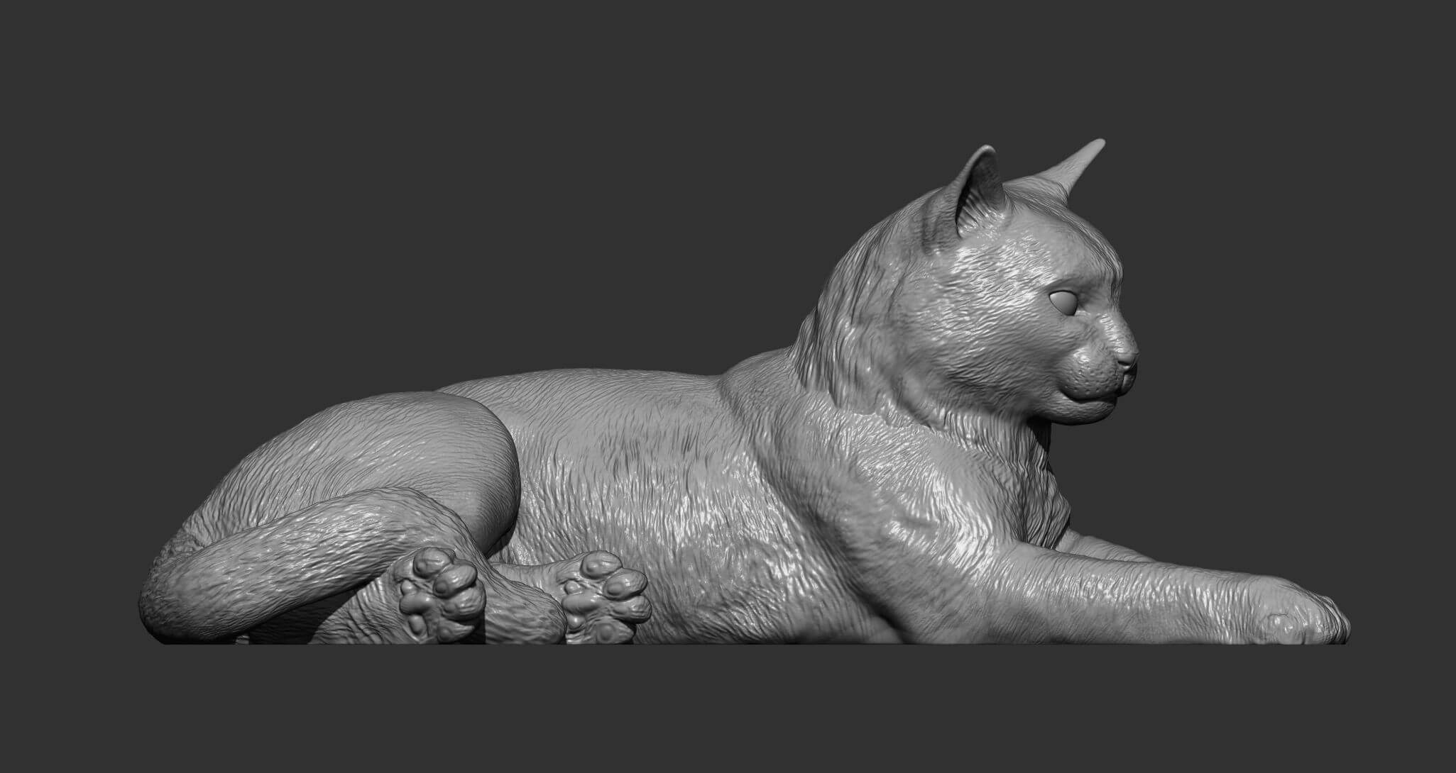 Cat Is Lying Down - 3D Model by Alexander3dart